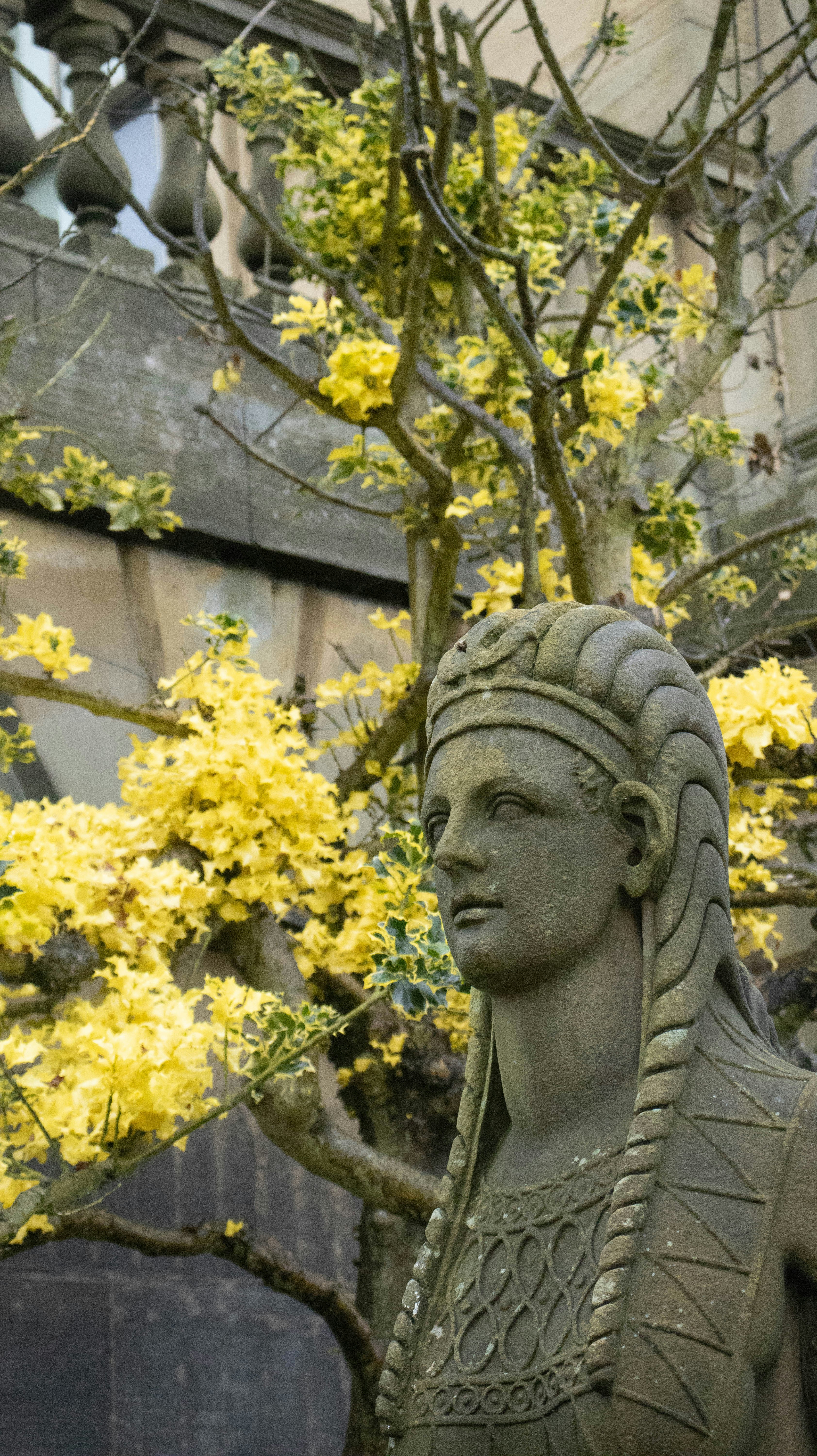 Stone Sentinel Among Forsythia