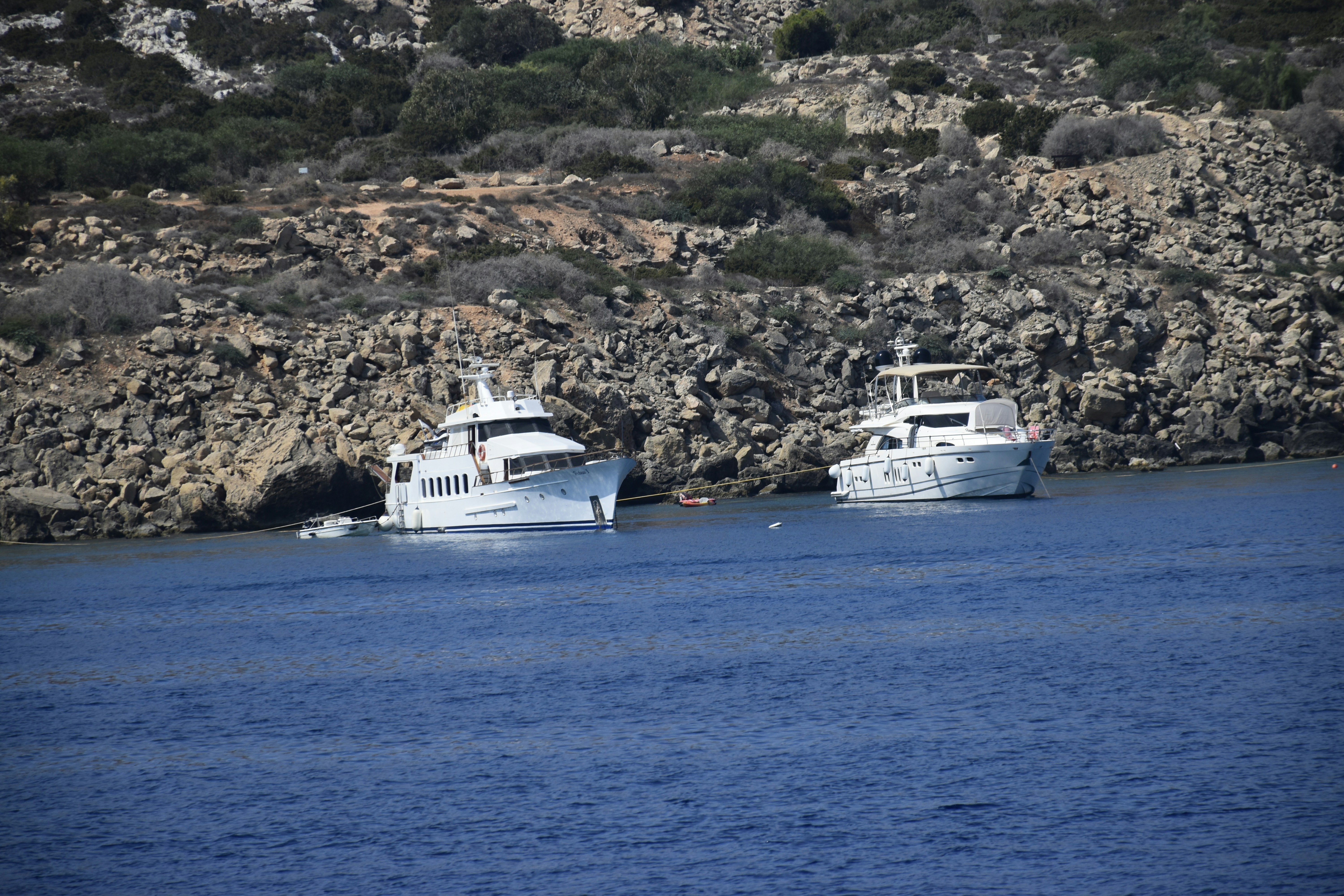 Un par de botes que están en el agua foto – Imagen de Vehículo gratuita ...