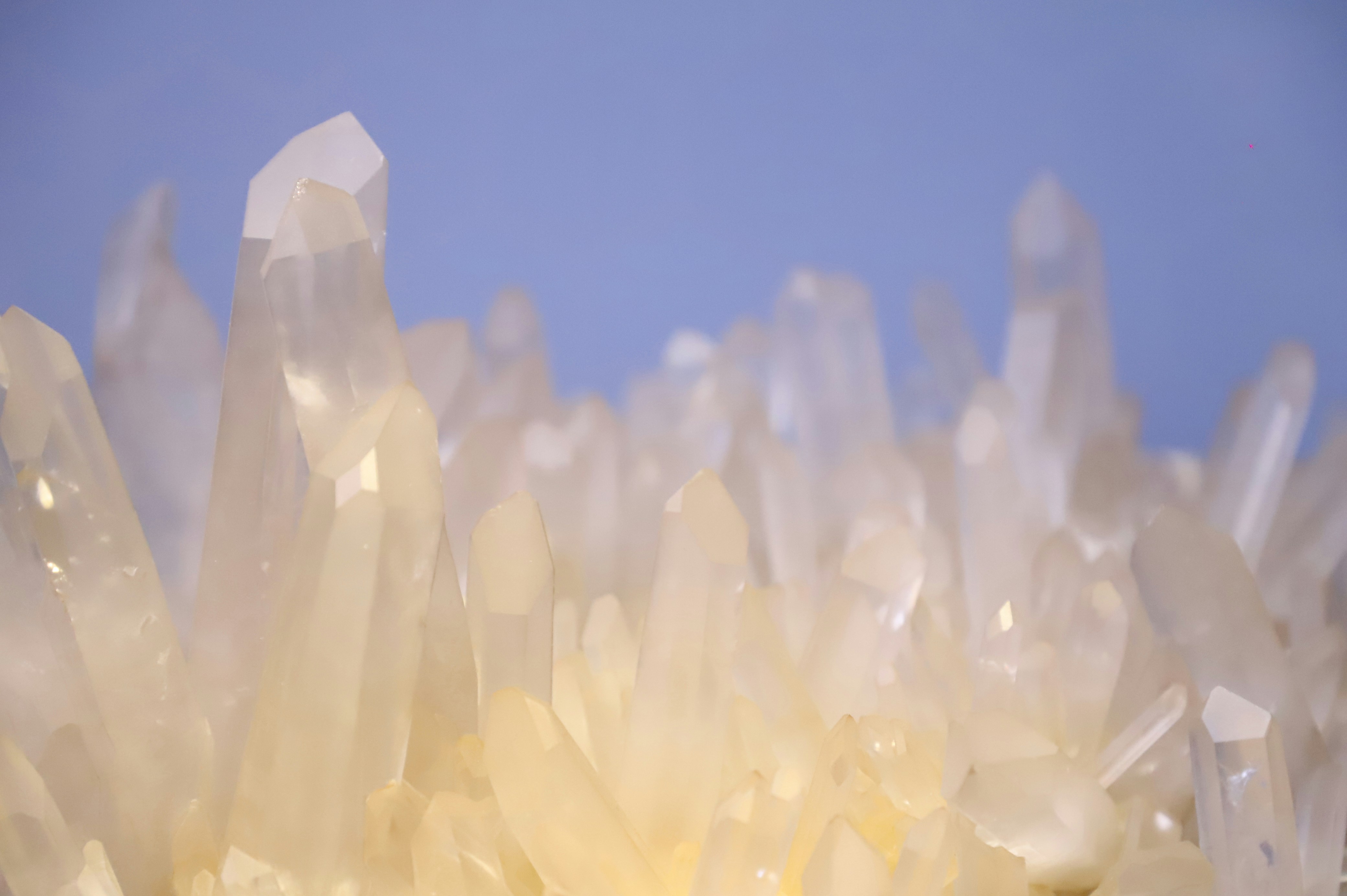 Cluster of clear quartz crystals glistening against a soft blue background, showcasing their intricate formations and natural beauty.