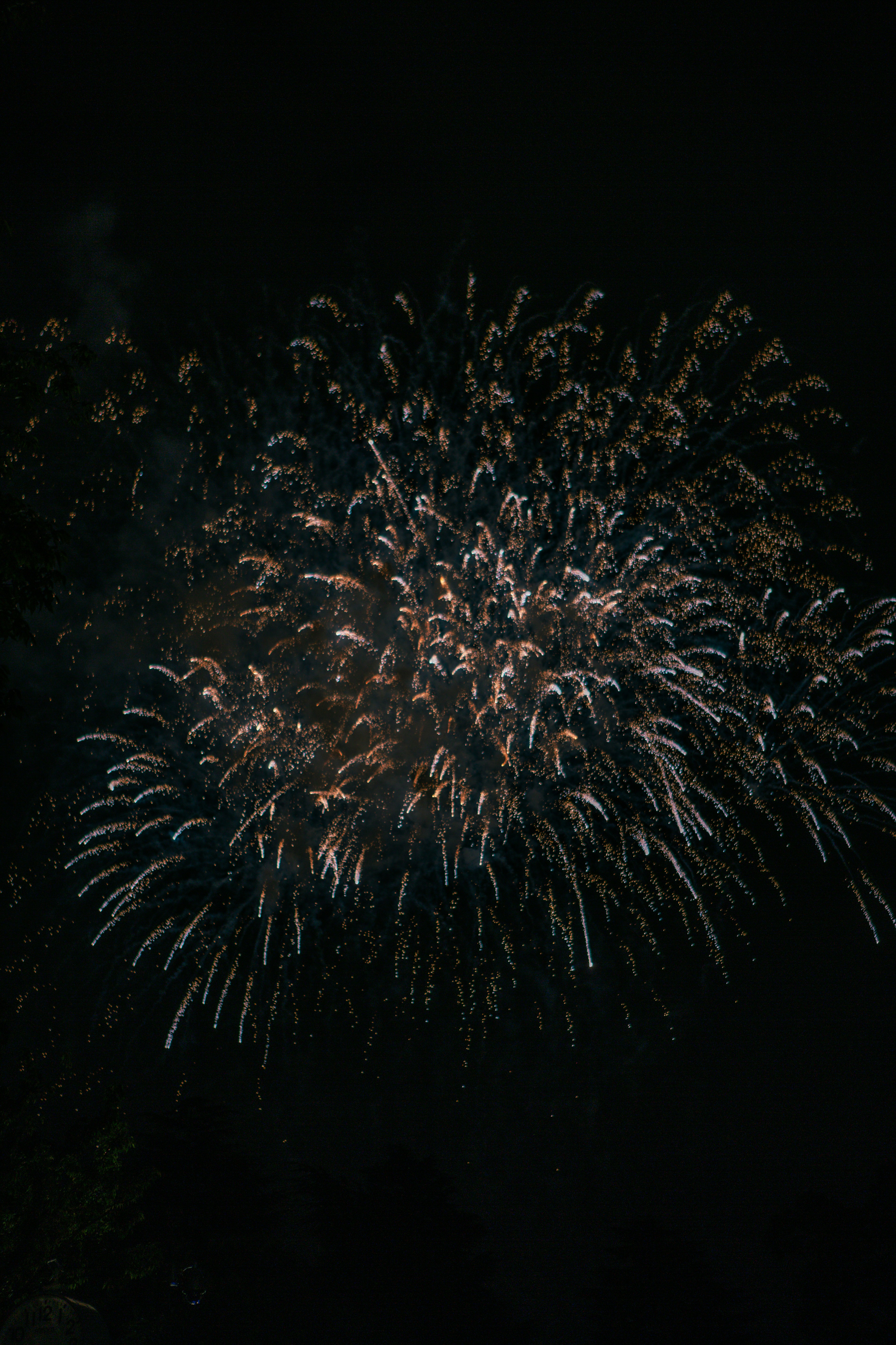 Golden Crown Over the Night Forest: Fireworks Burst