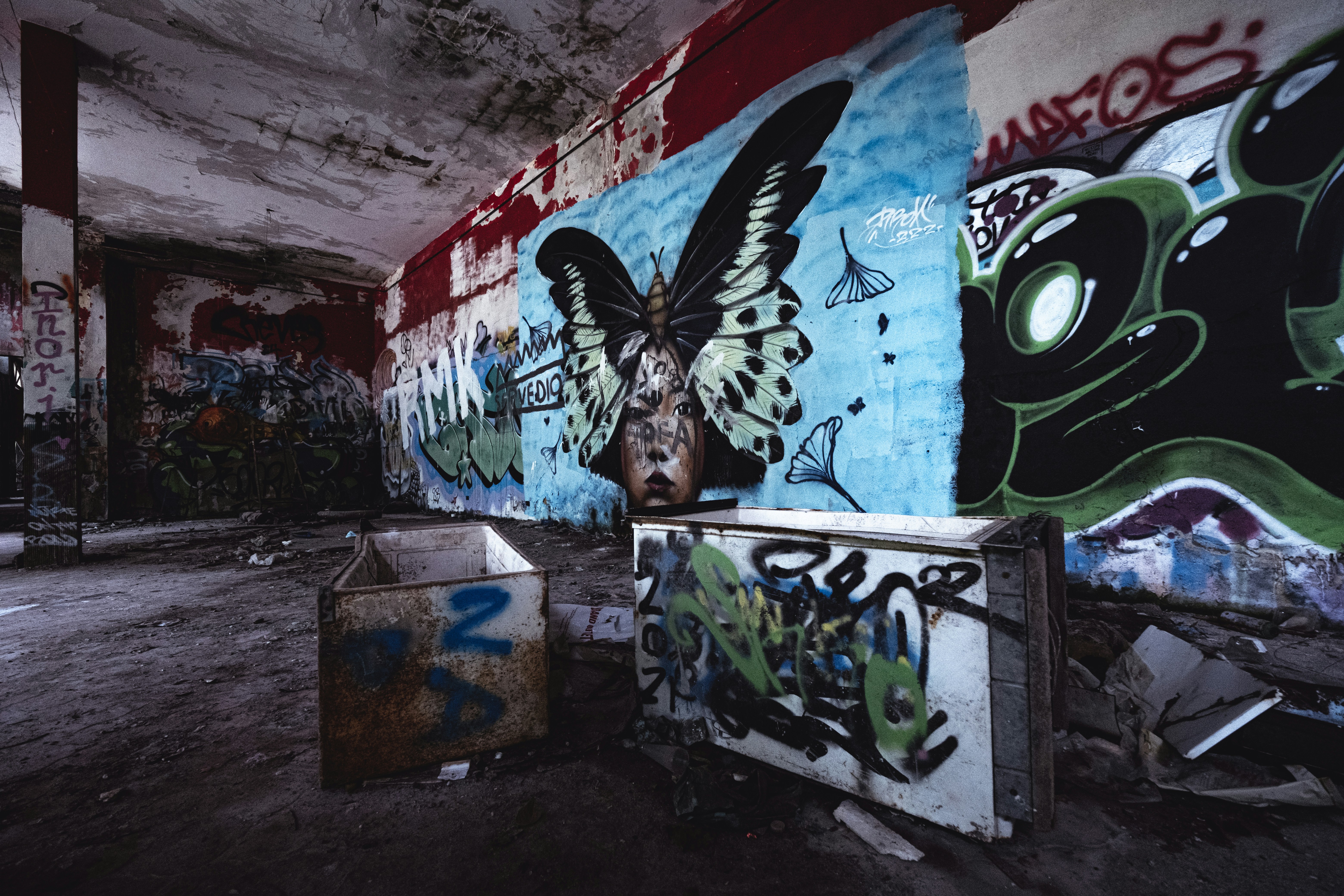 Blue Winged Gaze in a Graffitied Ruin
