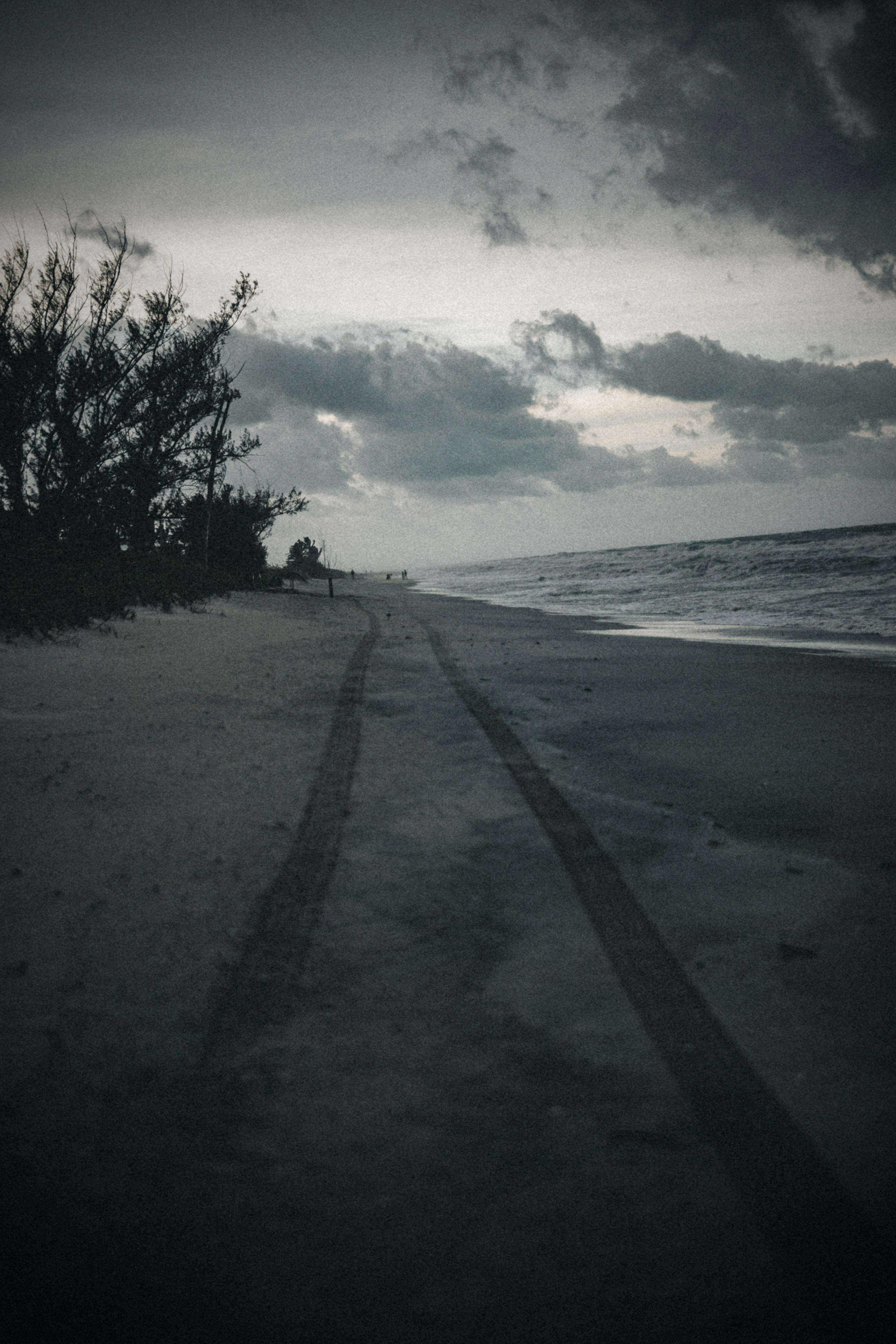 Horizon Looms as Tire Tracks Thread a Quiet Beach