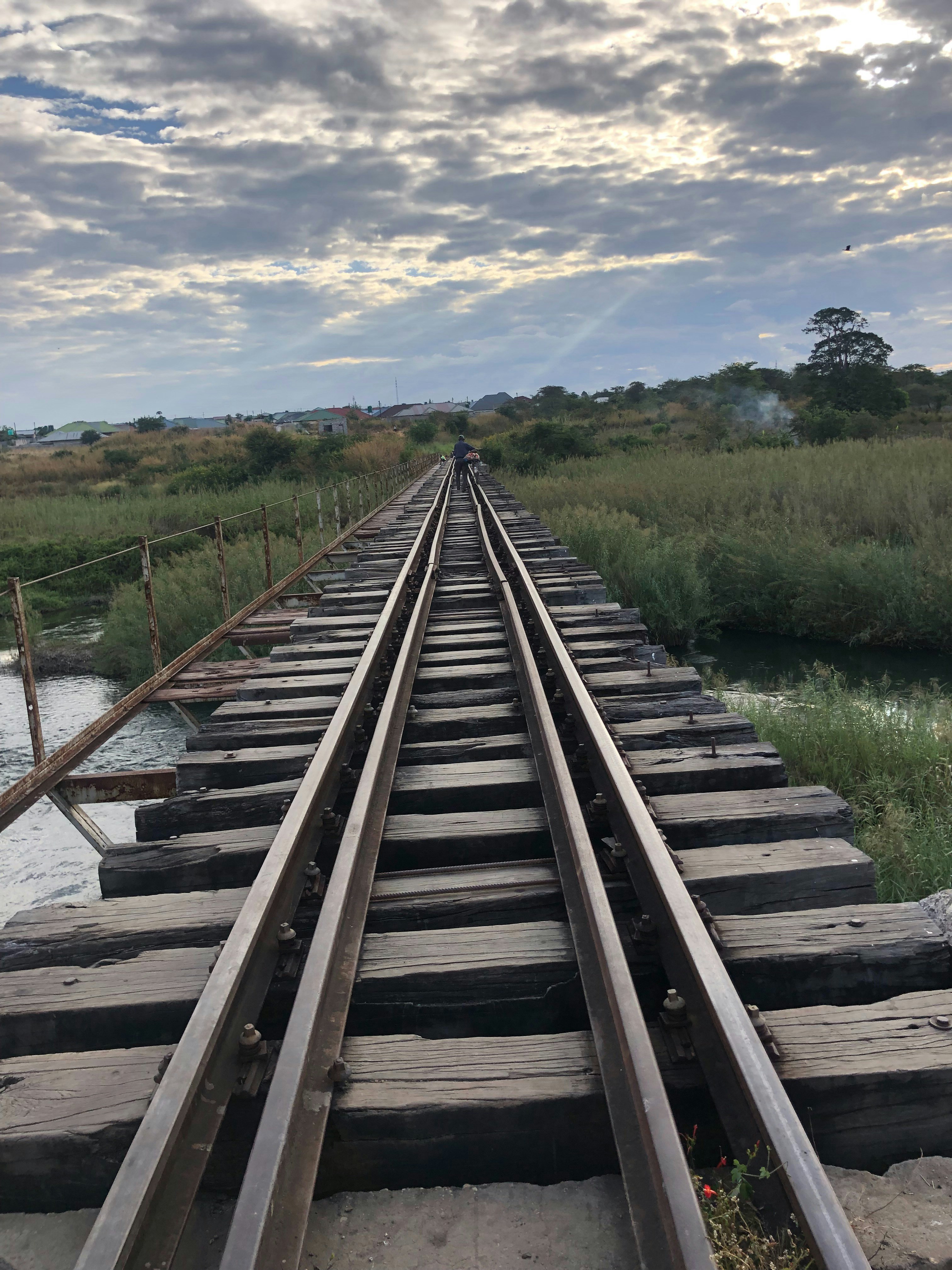 Lonely Rails: A Vanishing Path Through Marsh and Sky