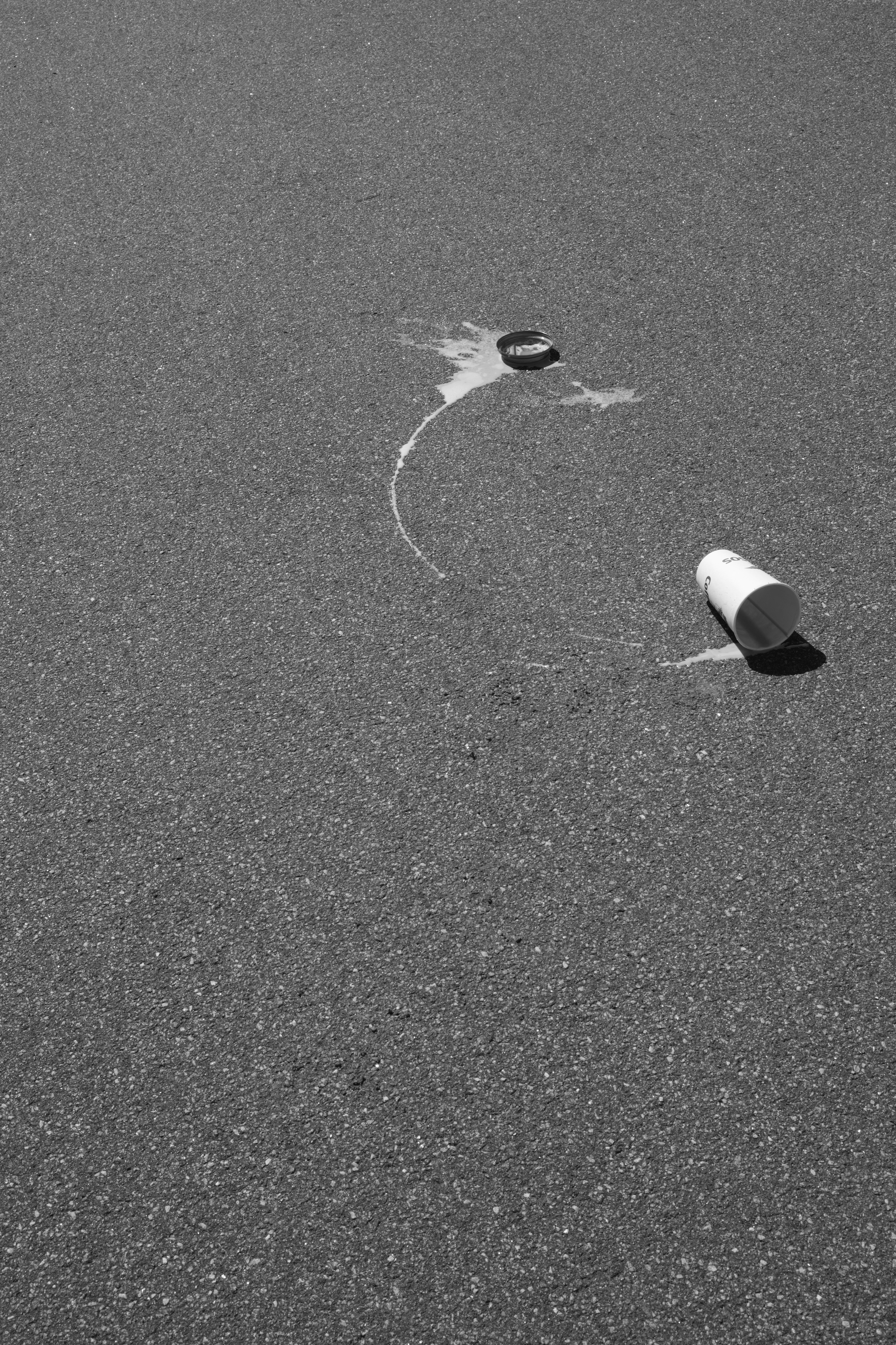 Ringed Trace on Asphalt: A Minimal Study in Monochrome