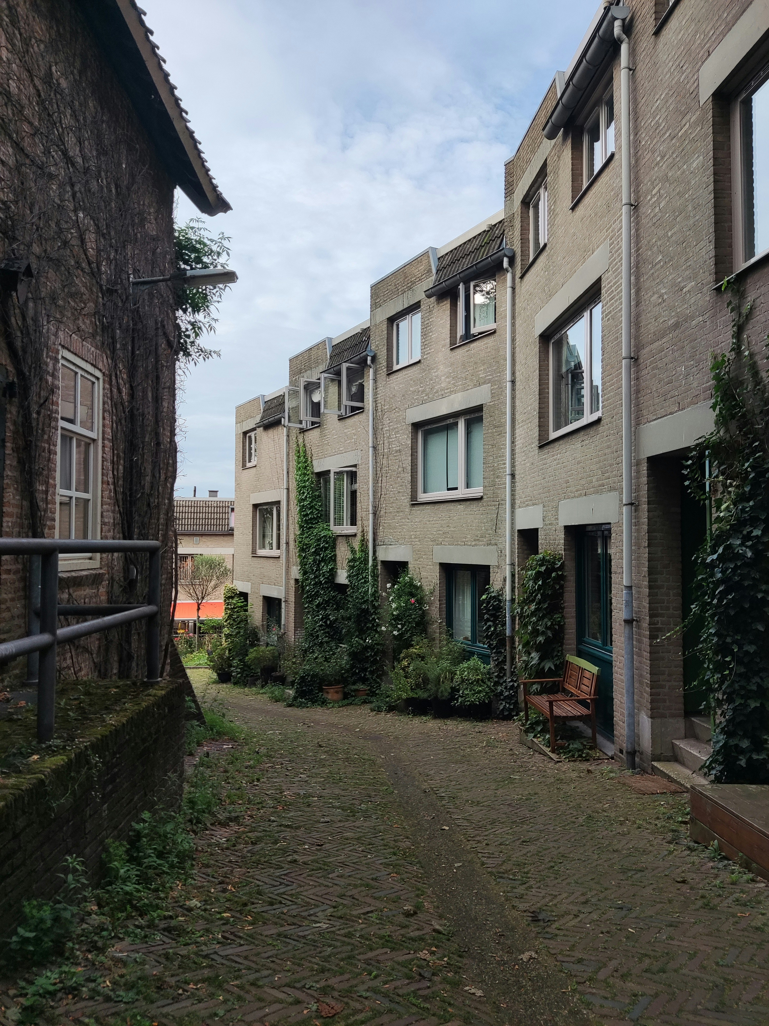 Narrow pathway between buildings adorned with greenery, inviting exploration in an urban setting.
