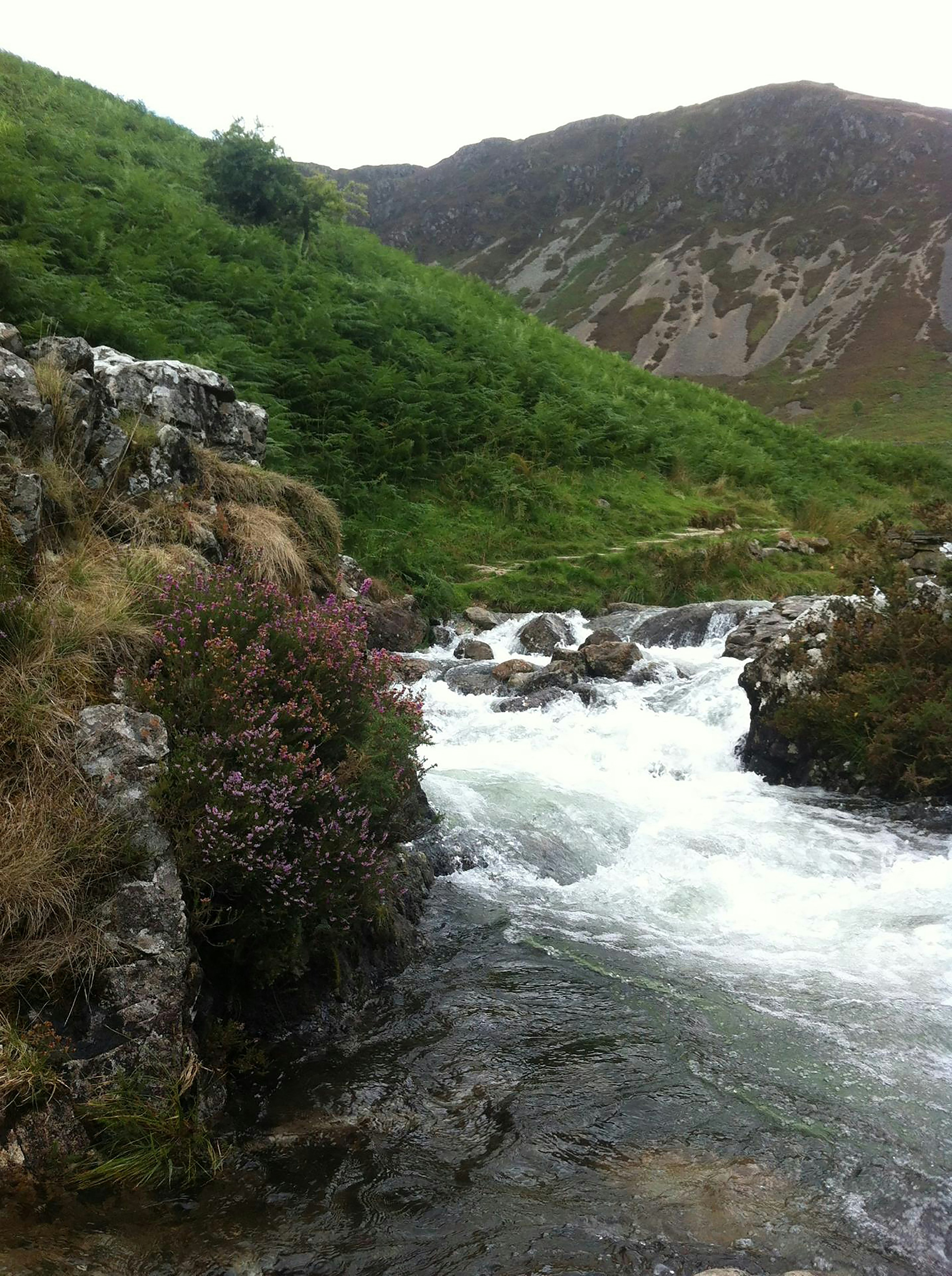 A stream running through a lush green hillside photo – Free Nature ...