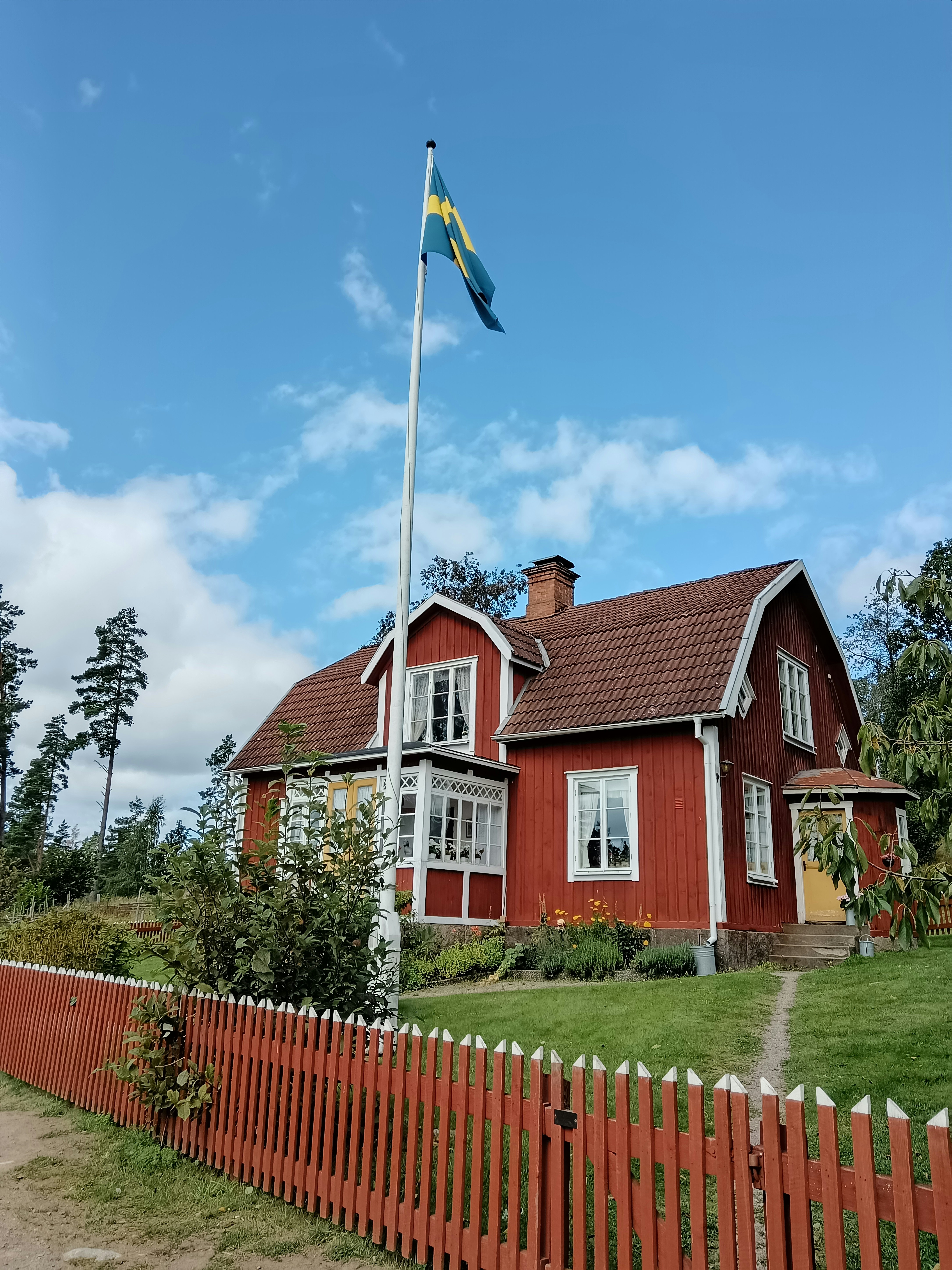 Sample photo from Honor 90 Lite