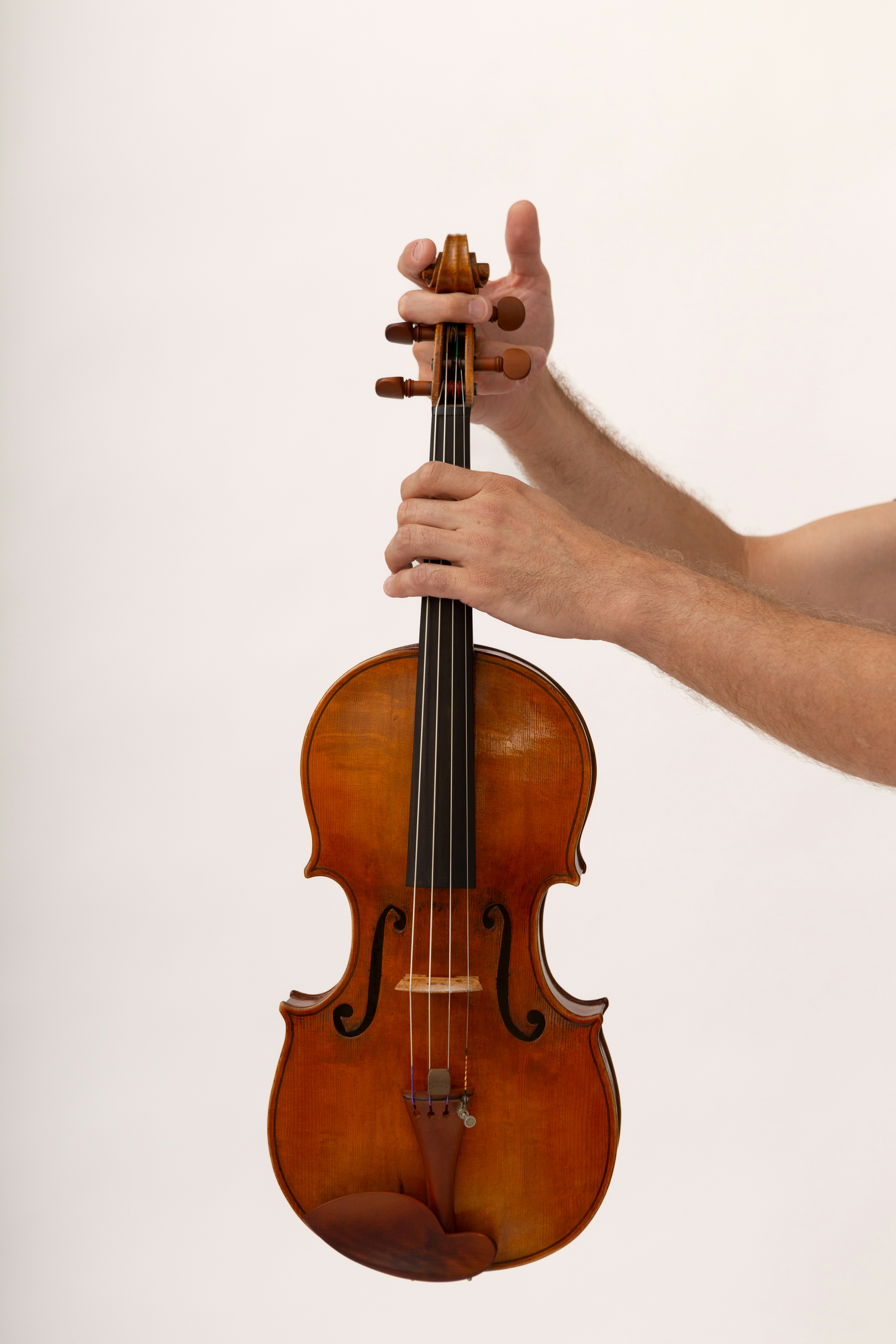 A man holding a violin in his right hand photo – Free Viola Image on ...