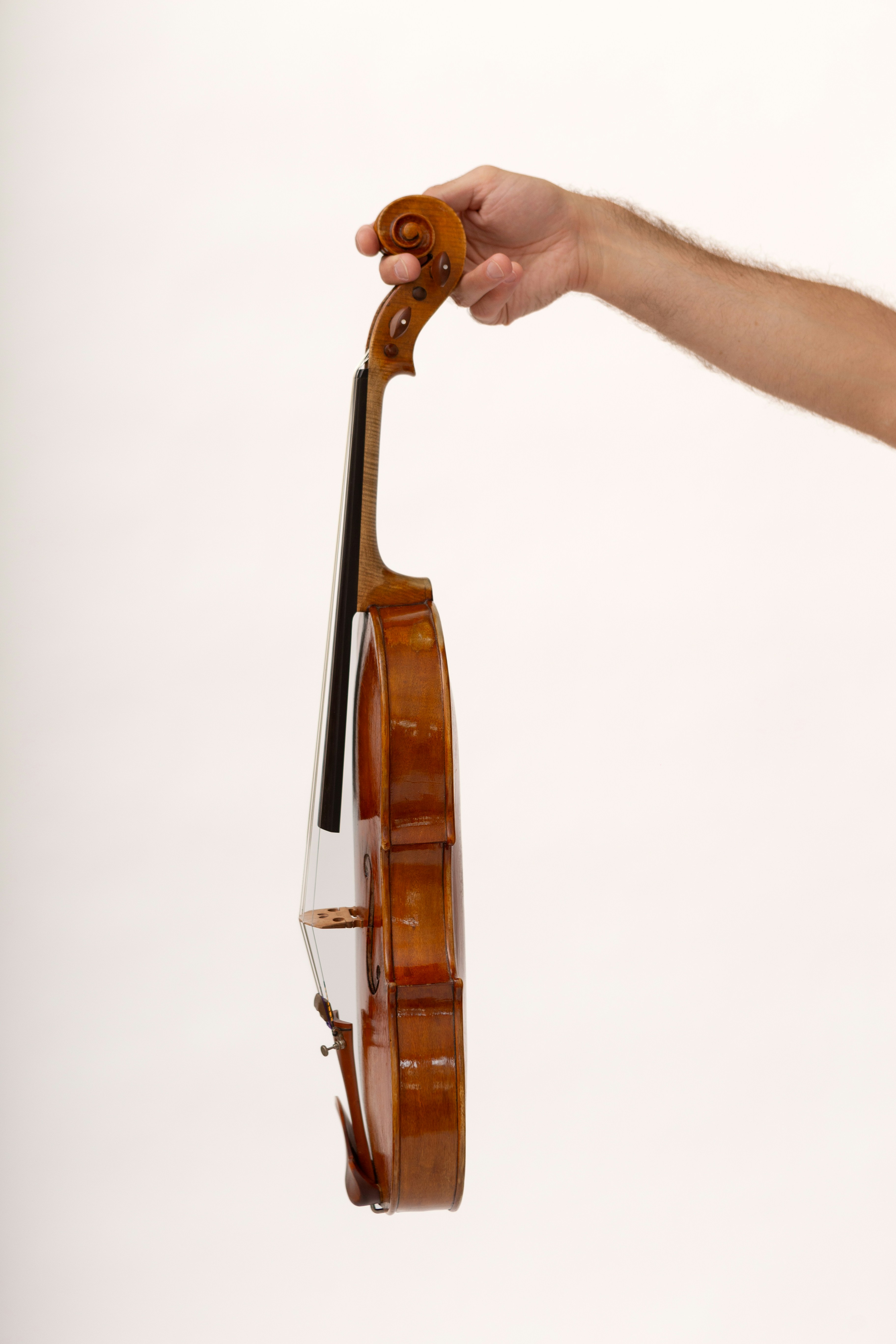 A man holding a violin in his right hand photo – Free Viola Image on ...