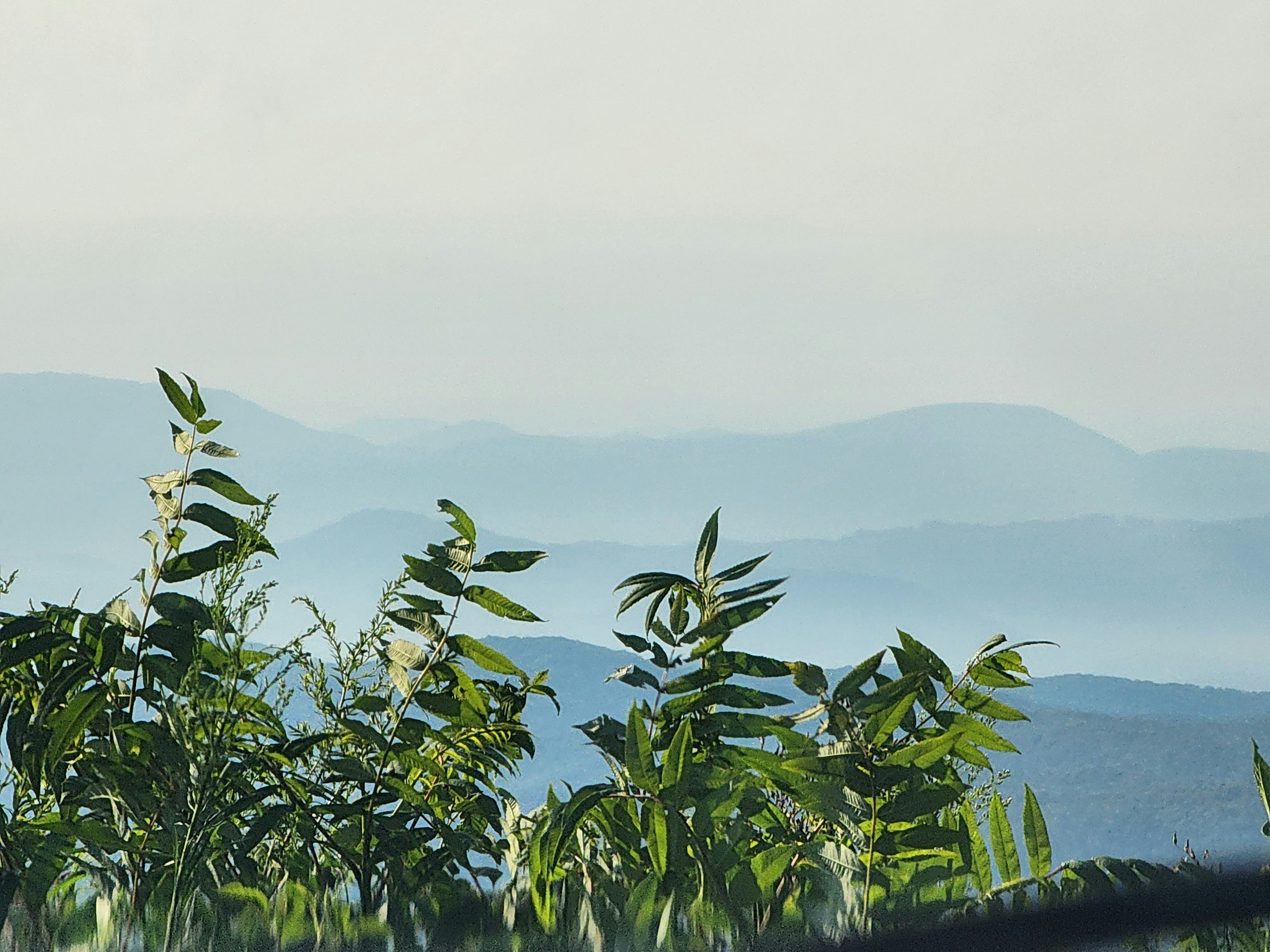 Photo by Robyn Collins with Samsung Galaxy S22 Ultra