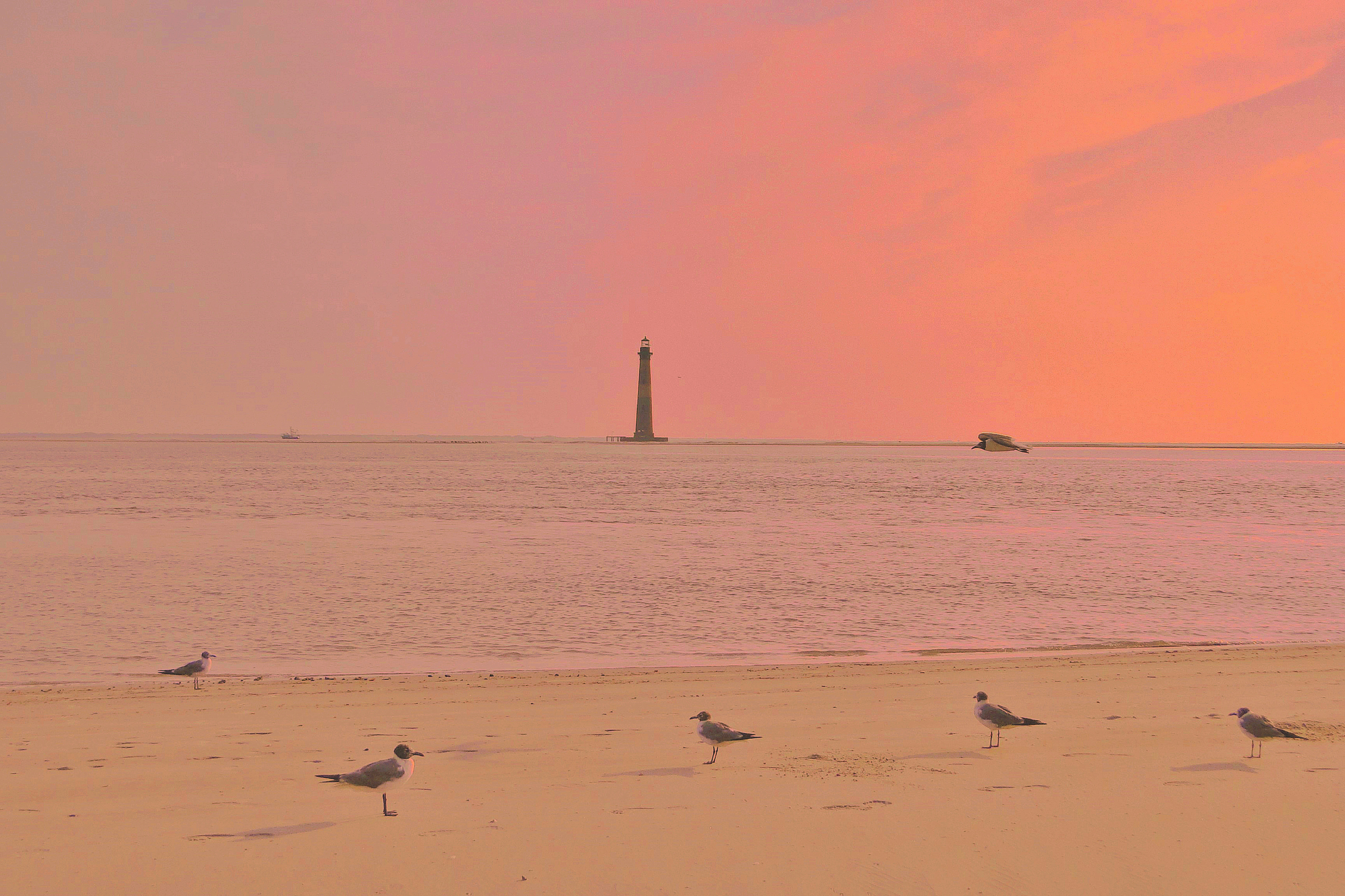 Seagulls stroll along a sandy beach with a lighthouse in the distance under a vibrant orange sky.