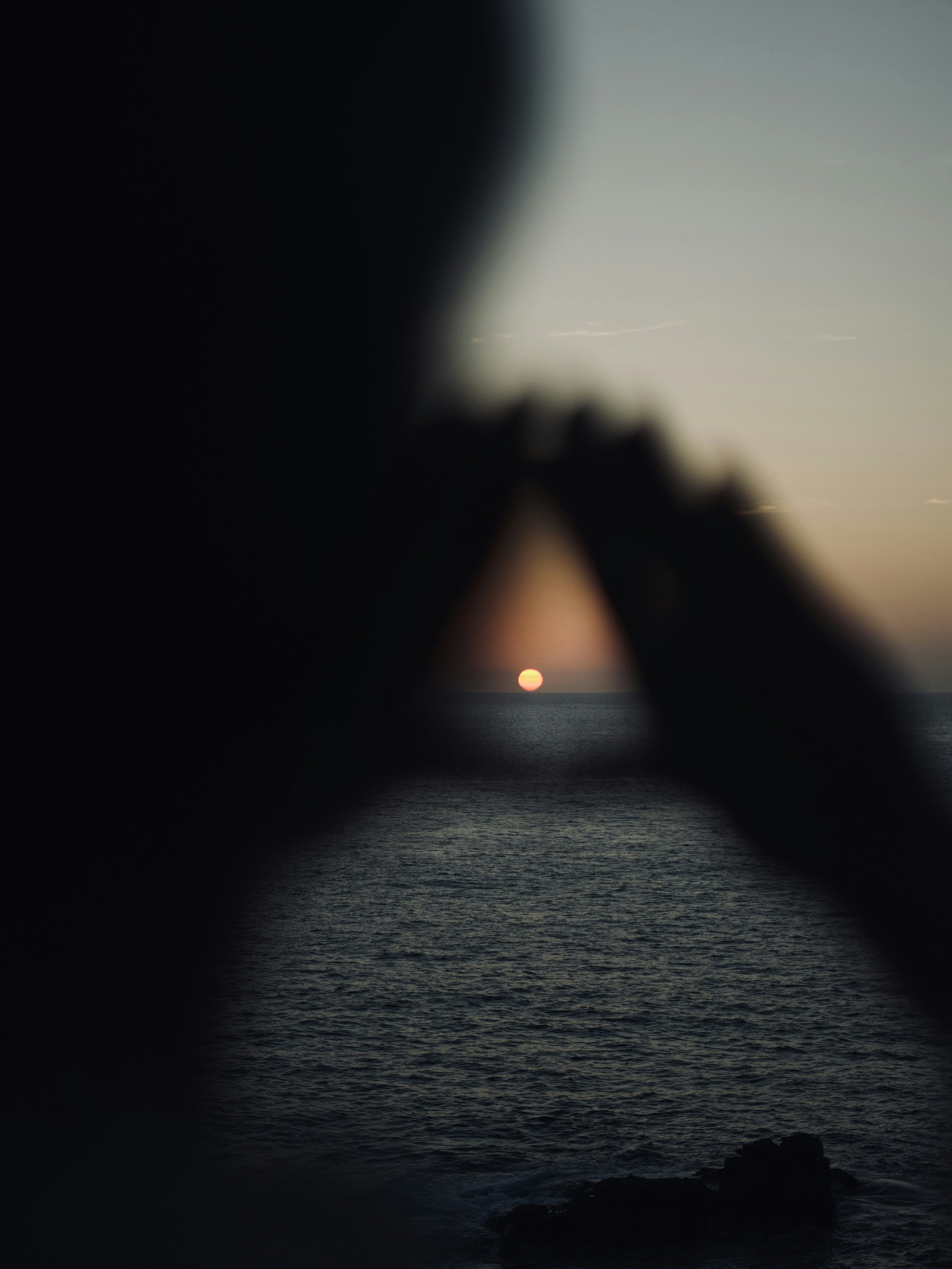 Silhouetted Embrace of the Setting Sun