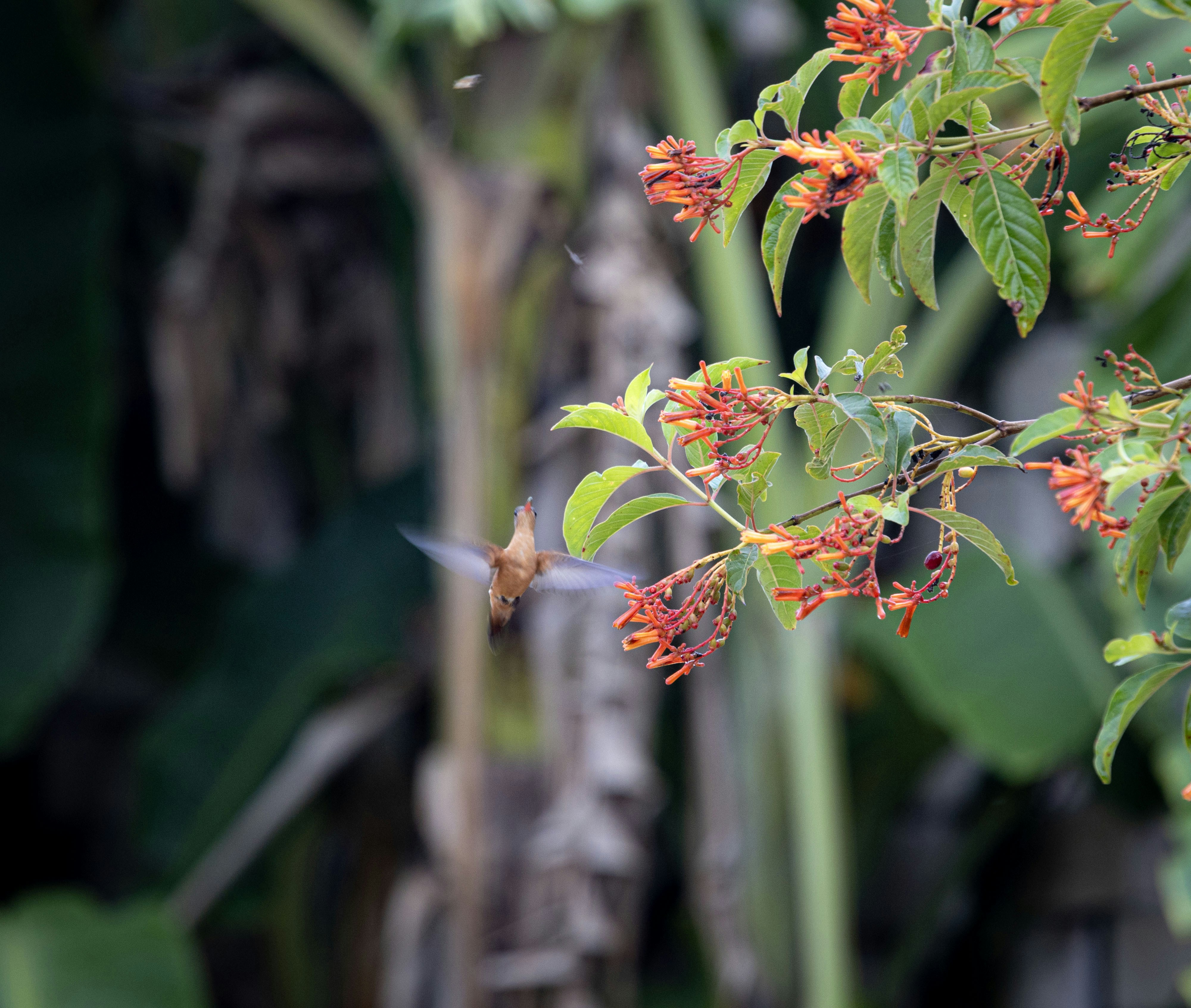 Photo by Alfonso Betancourt with Canon EOS R