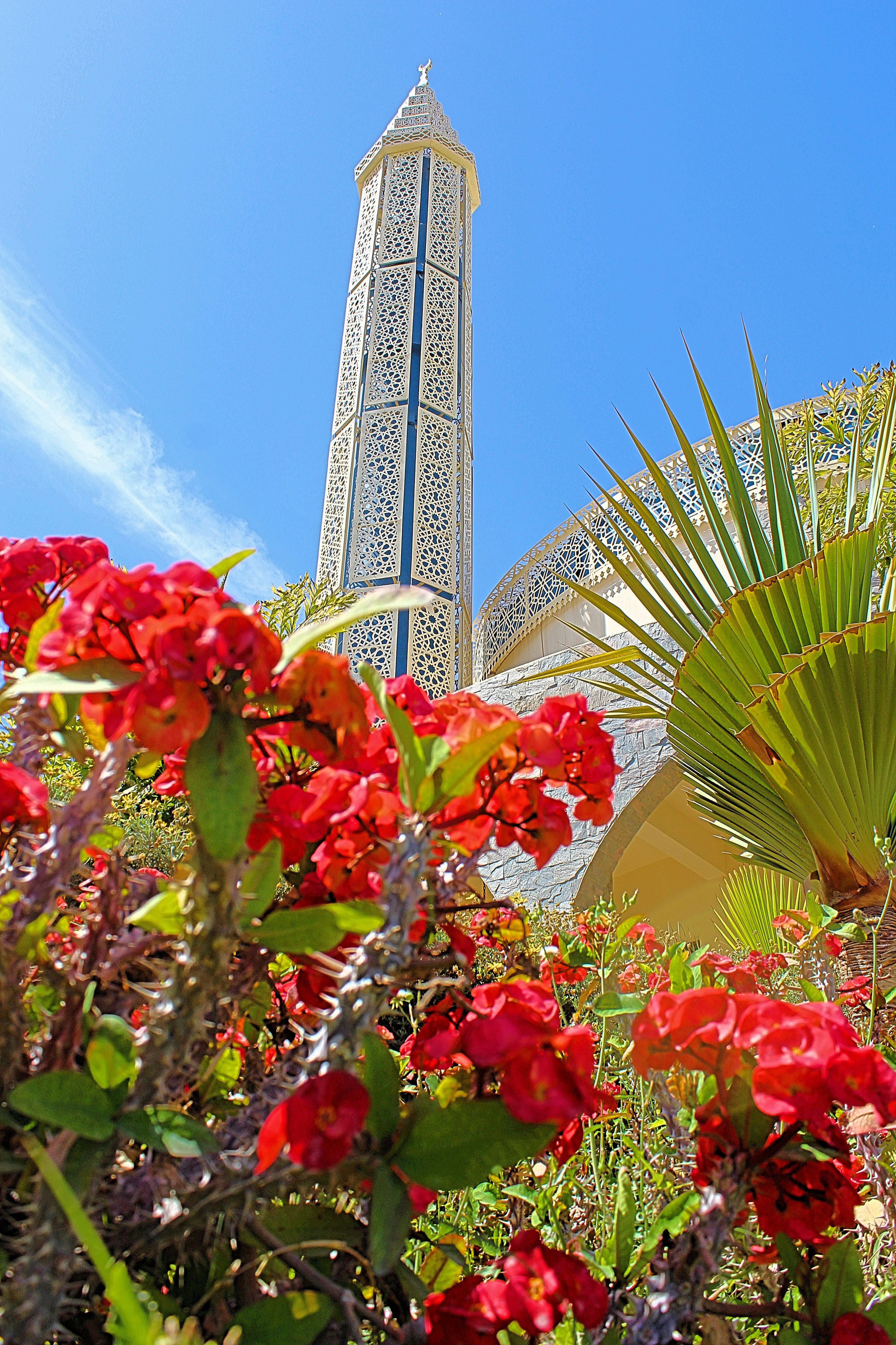 Azure Minaret Rising Through a Crimson Garden