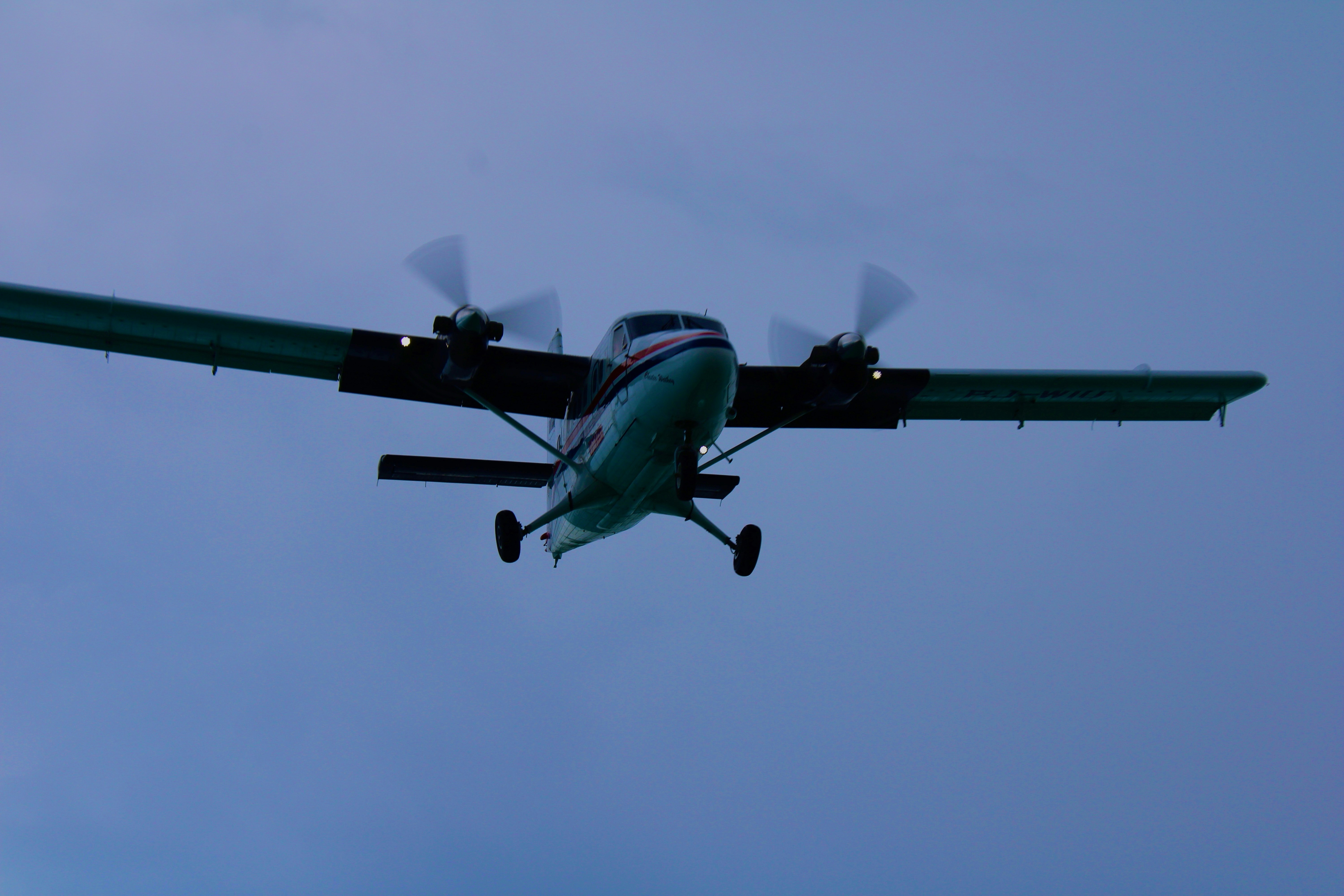 Simpson Pictures | Download Free Images on Unsplash