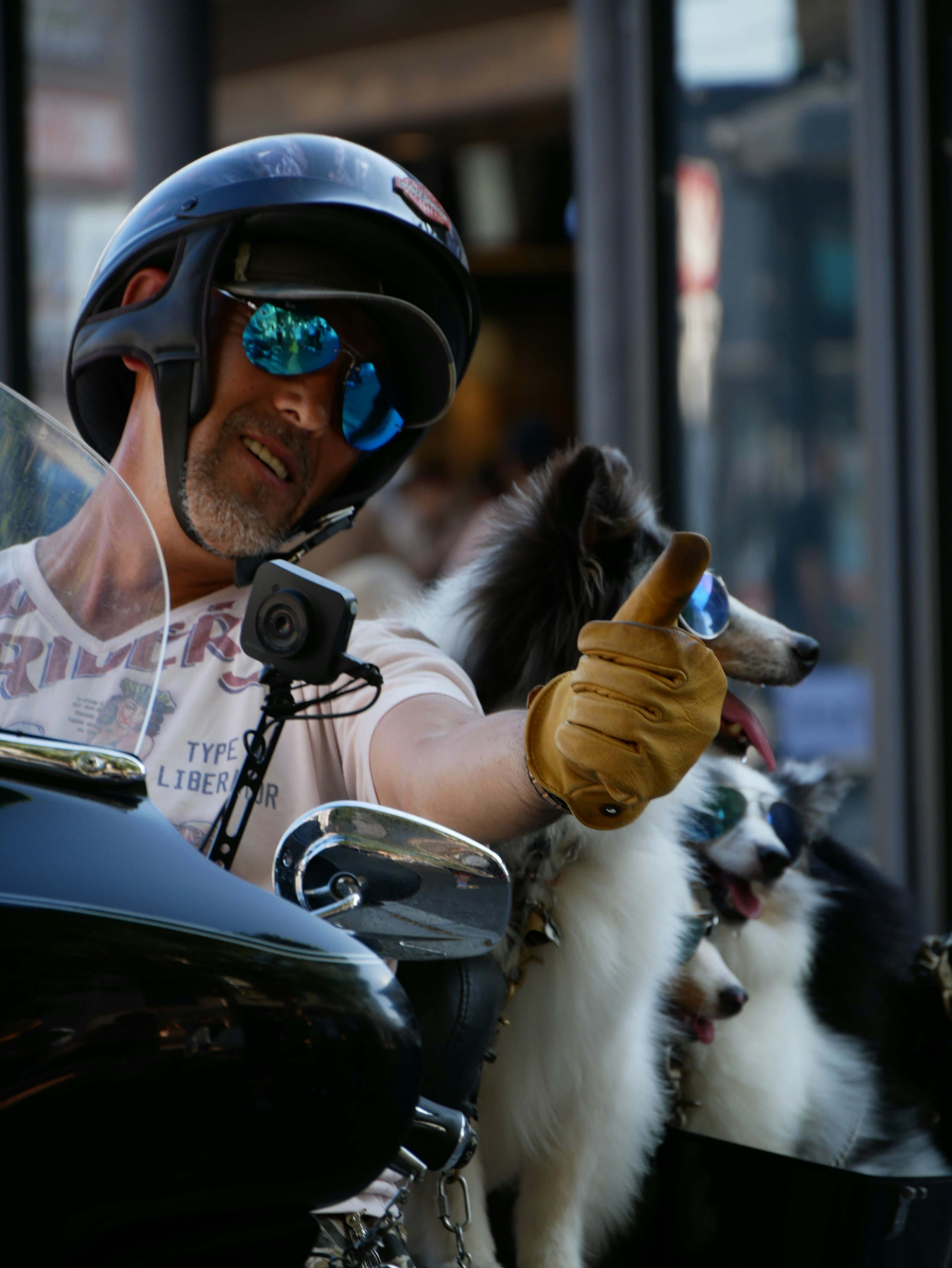 Thumbs-Up on Two Wheels: A Helmeted Rider and Two Canine Co-Pilots