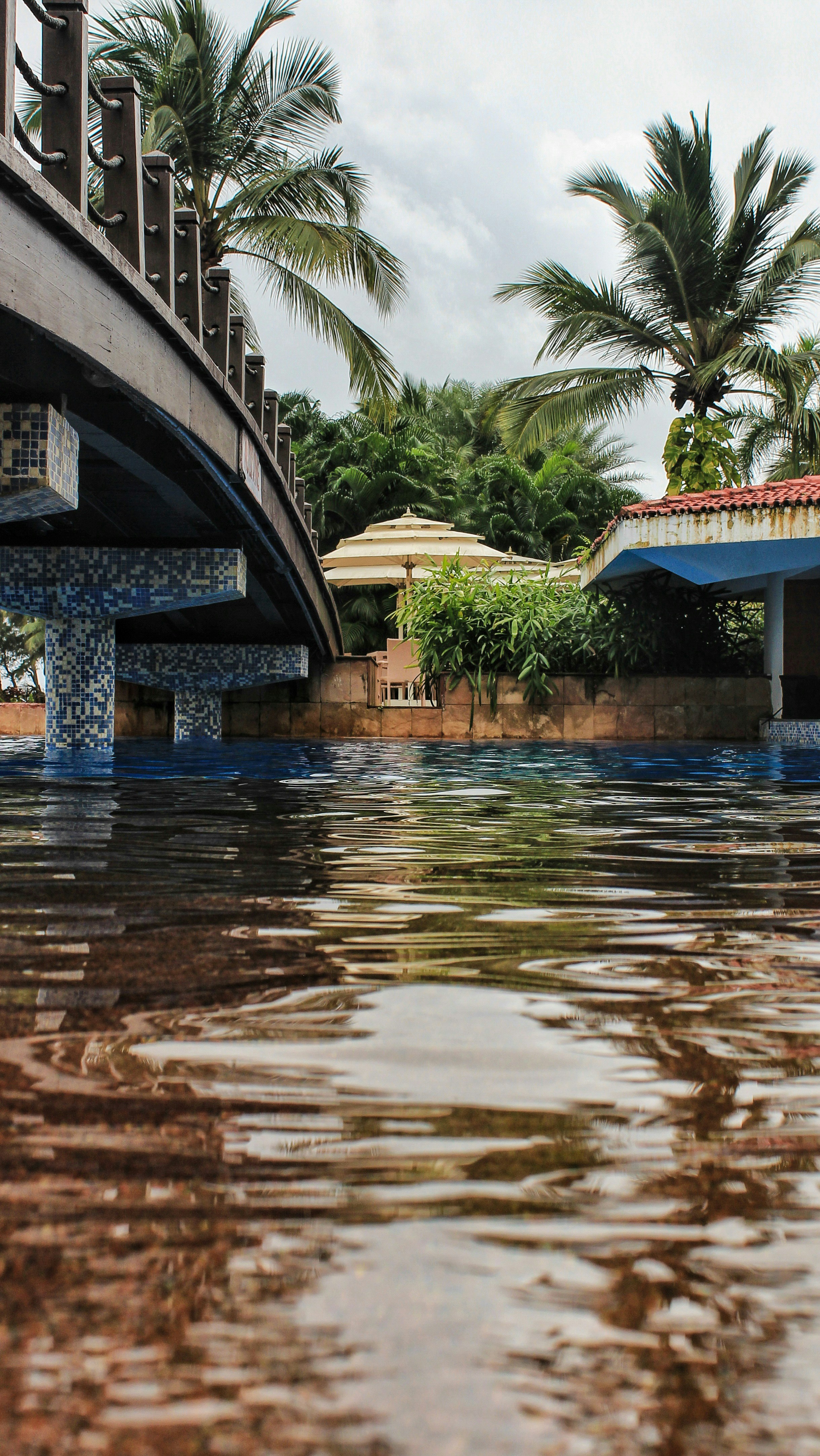 Poolside Oasis Beneath a Mosaic Bridge: Palm Fronds and Reflections