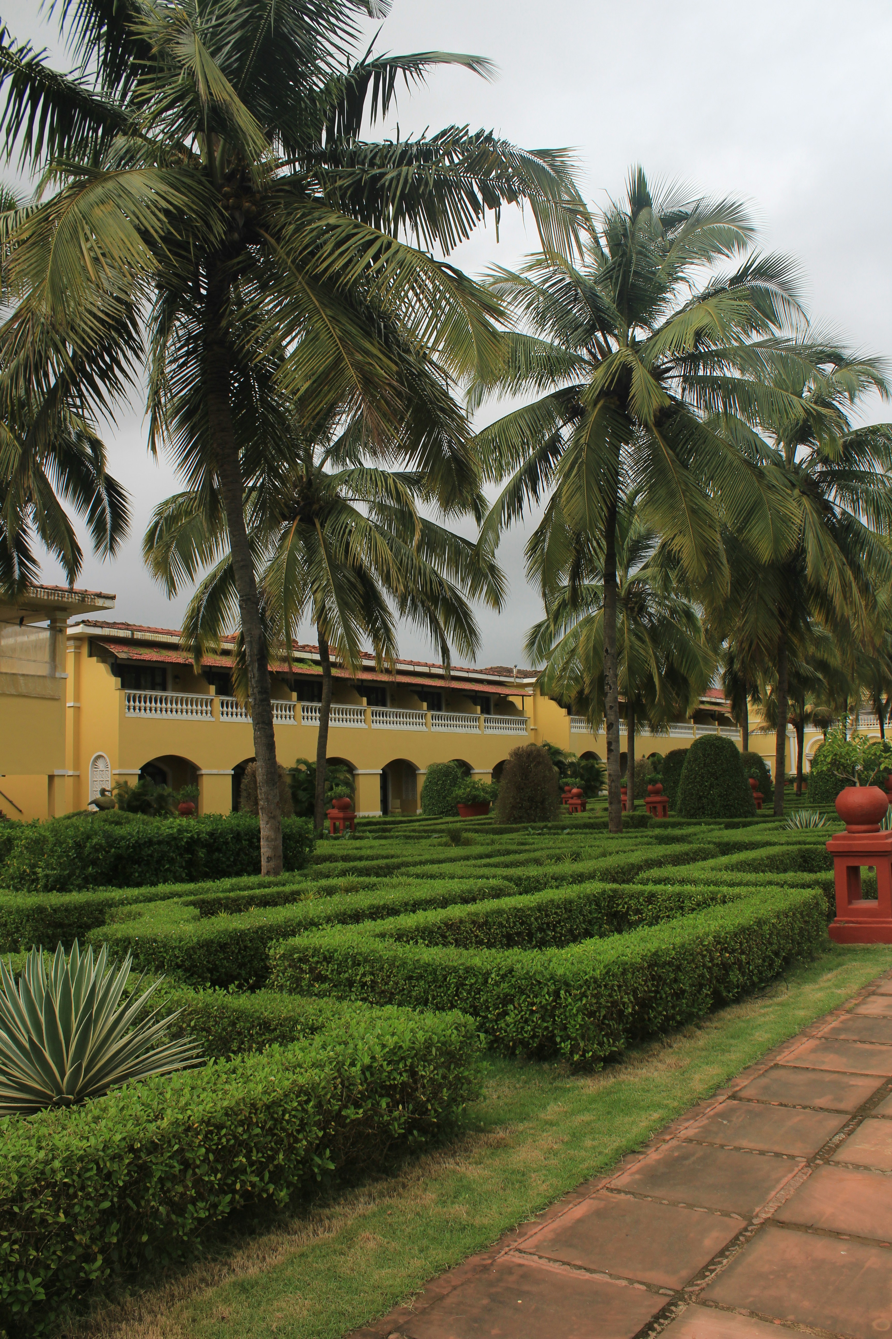 Photo by Aditya Sethia with Canon EOS 1300D