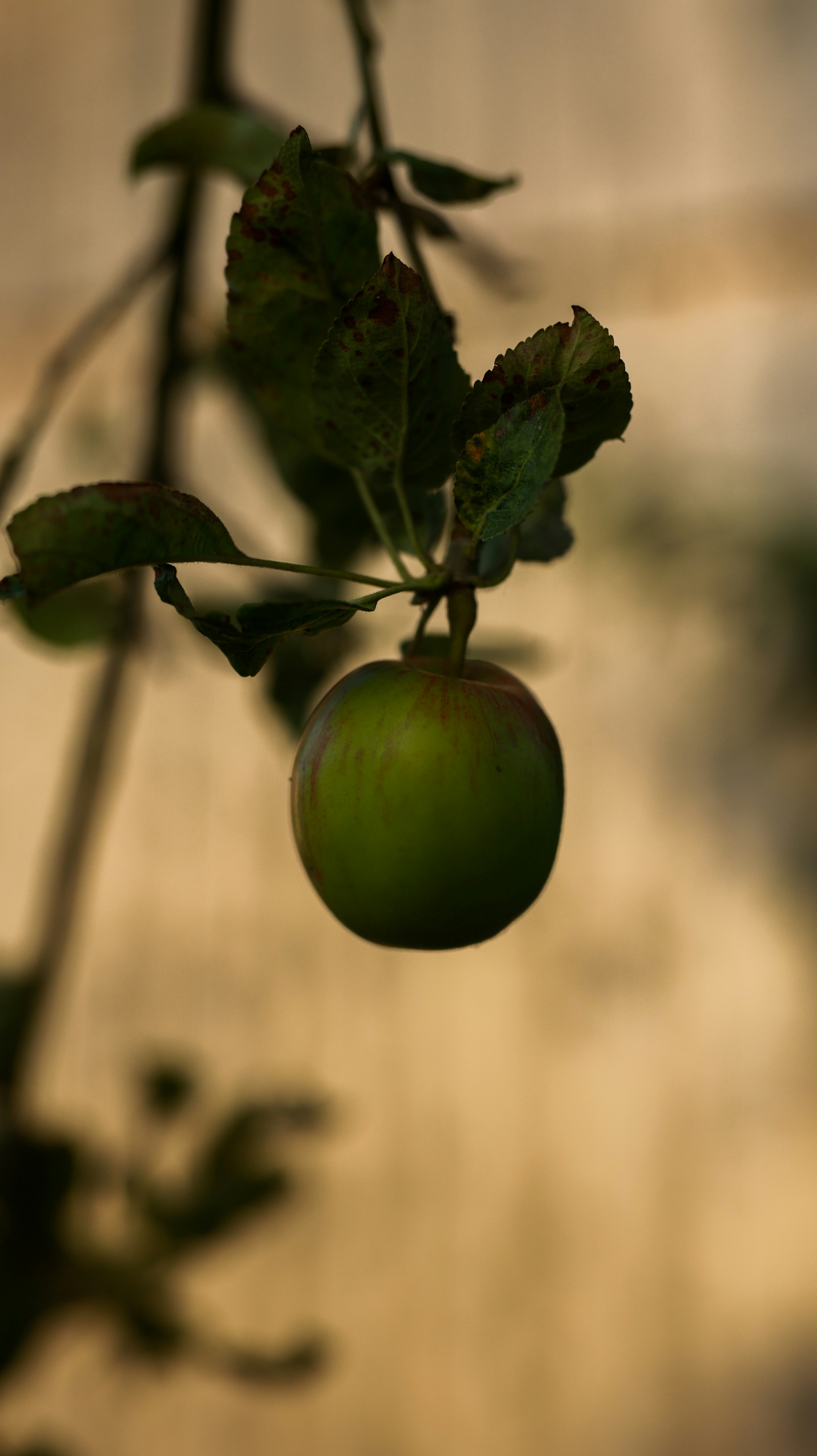 Photo by Stefanie Jockschat with Canon EOS R6