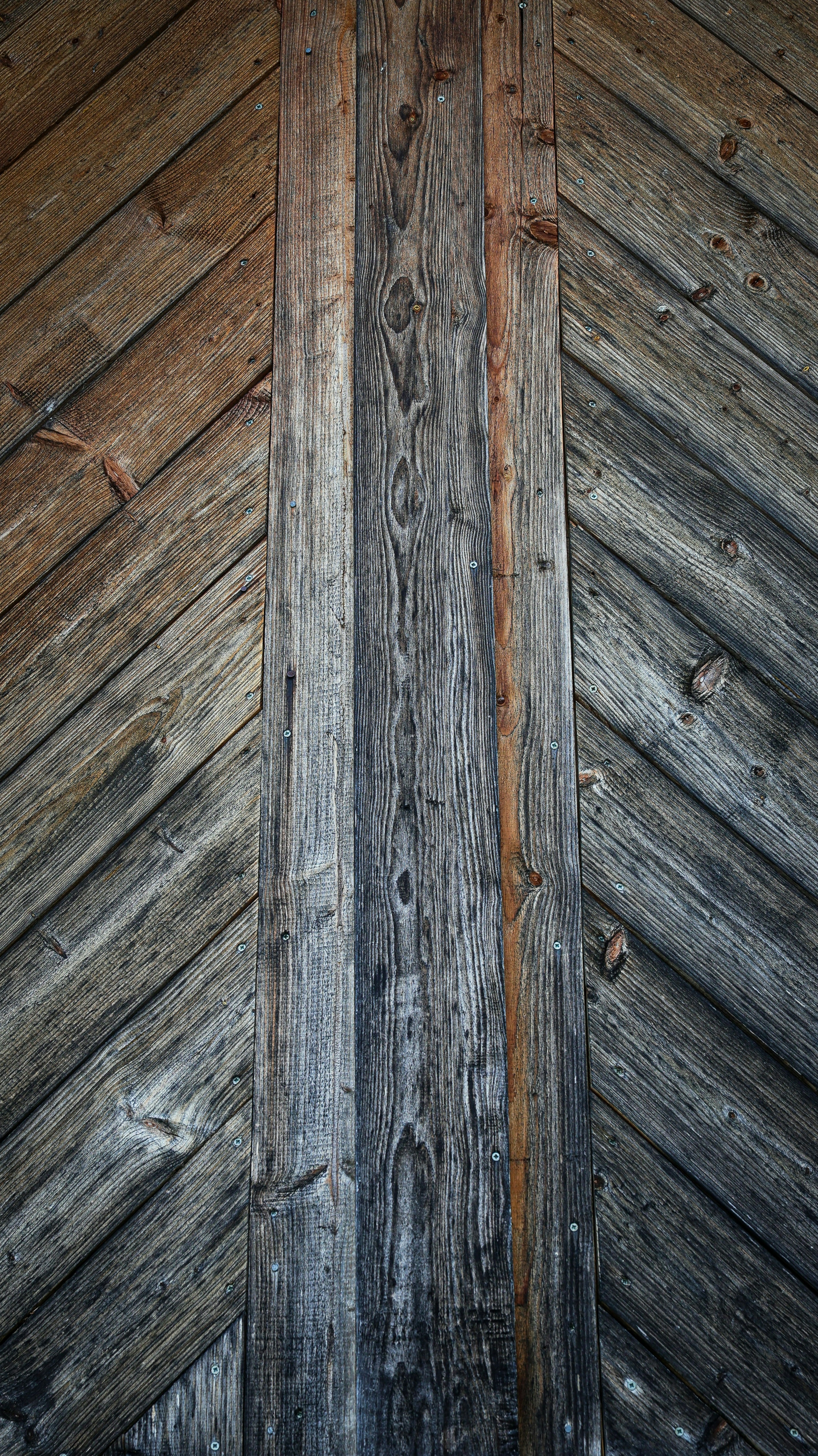 Symphony of Timber: A Textured Journey