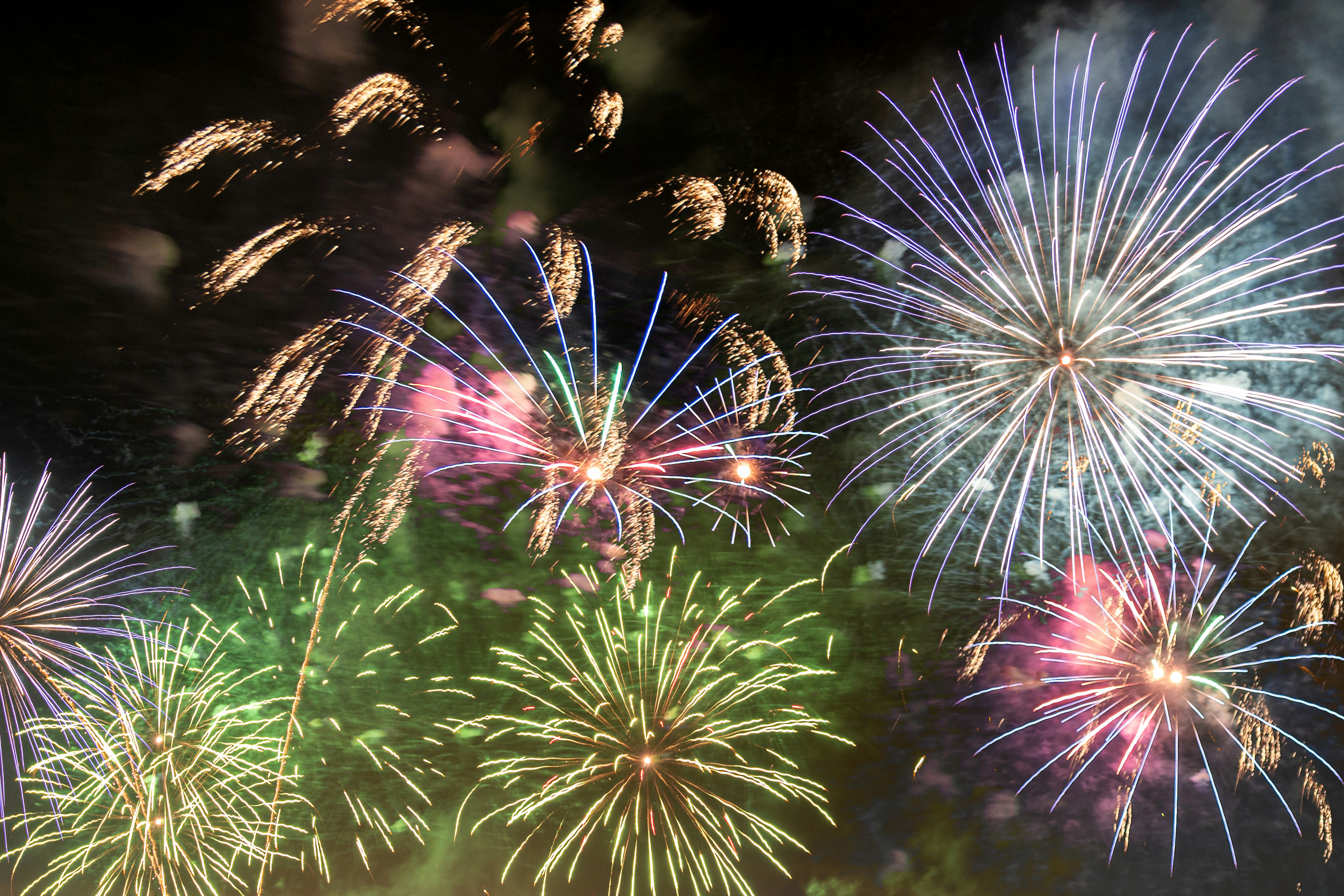 A bunch of fireworks are lit up in the night sky photo – Free Plant ...