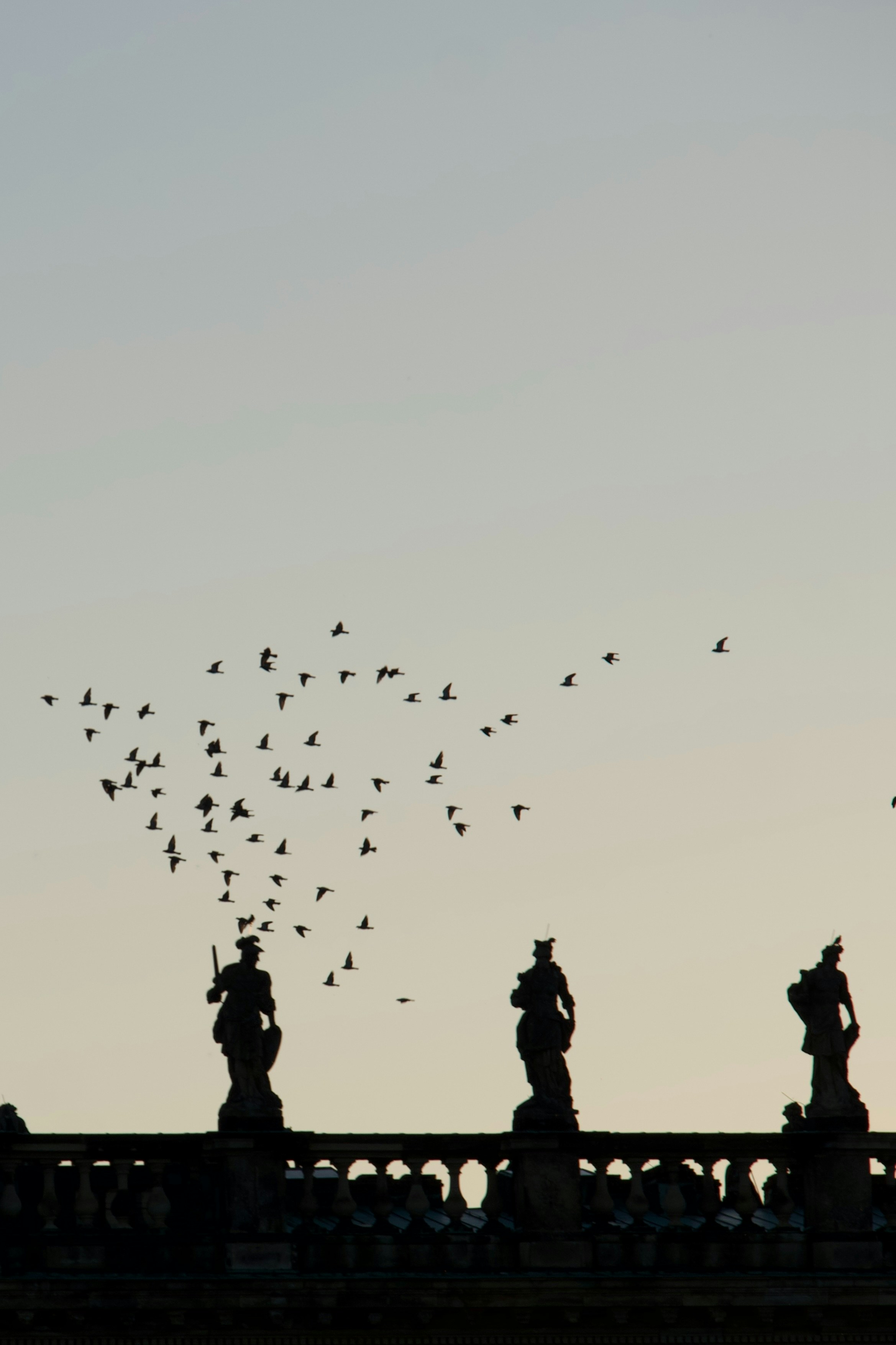Silhouetted Statues Meet a Sky Full of Flight