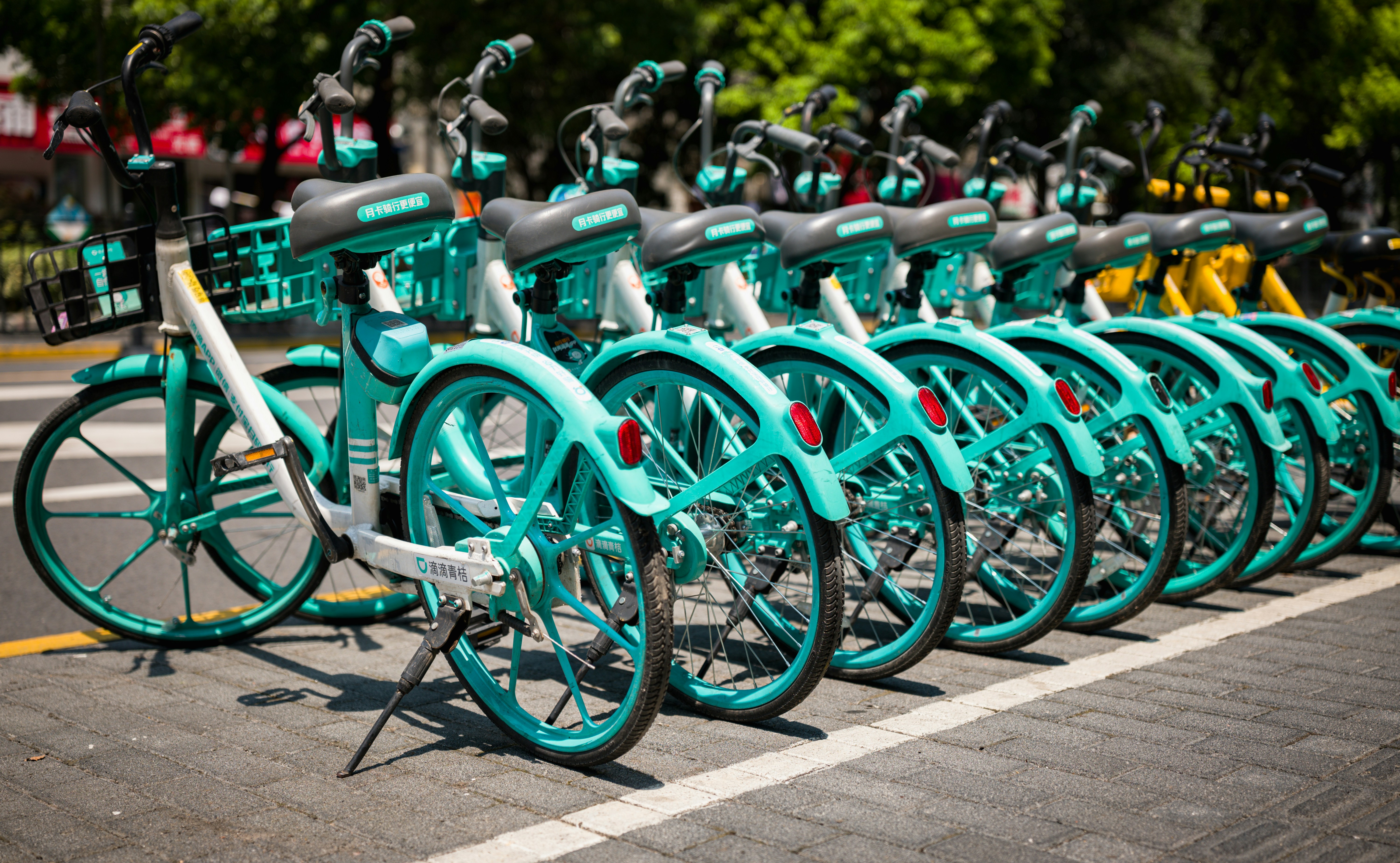 A row of turquoise bicycles parked in a parking lot photo – Free ...