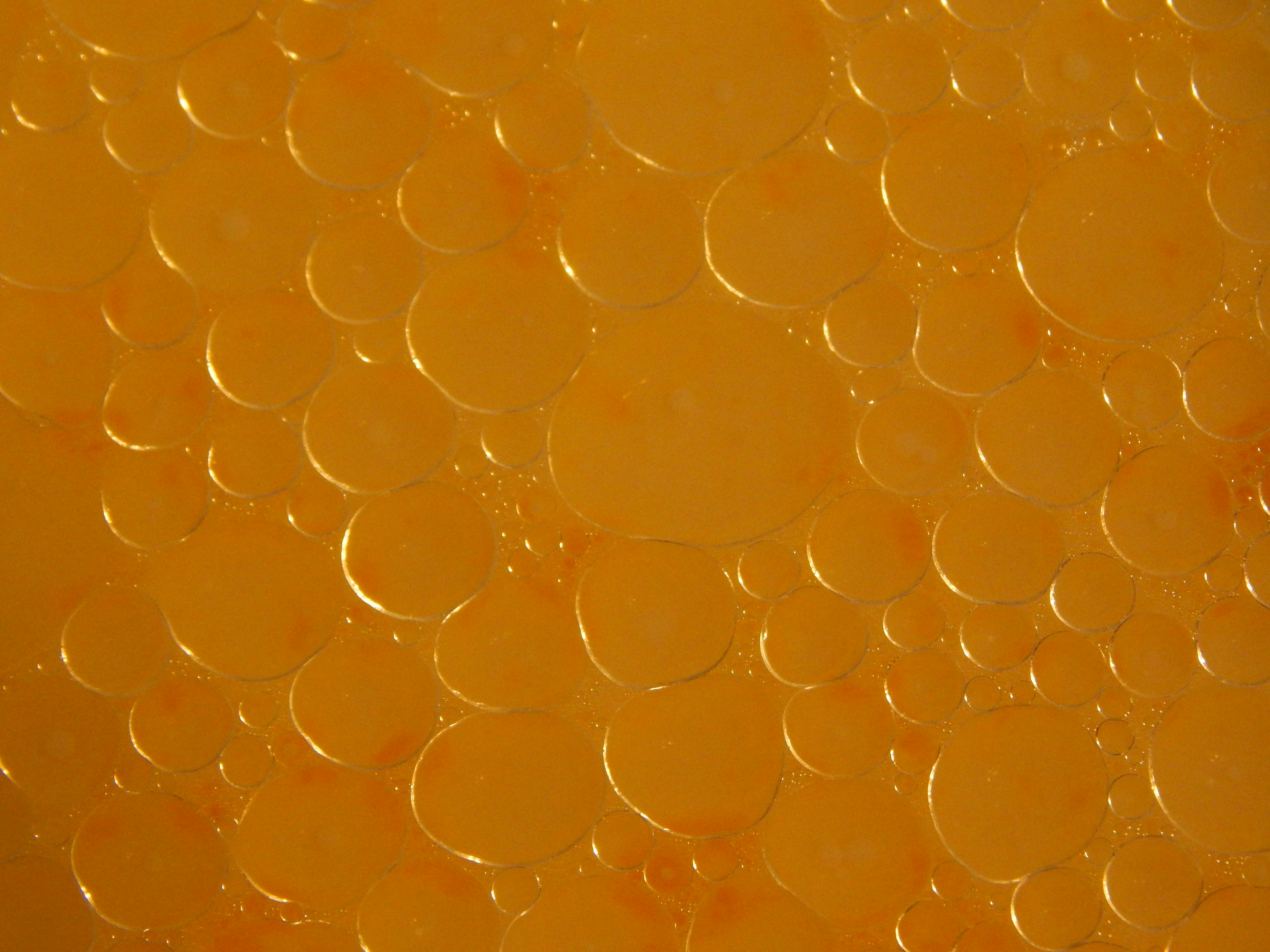 Photo by Maddy Weiss with Nikon Coolpix L820