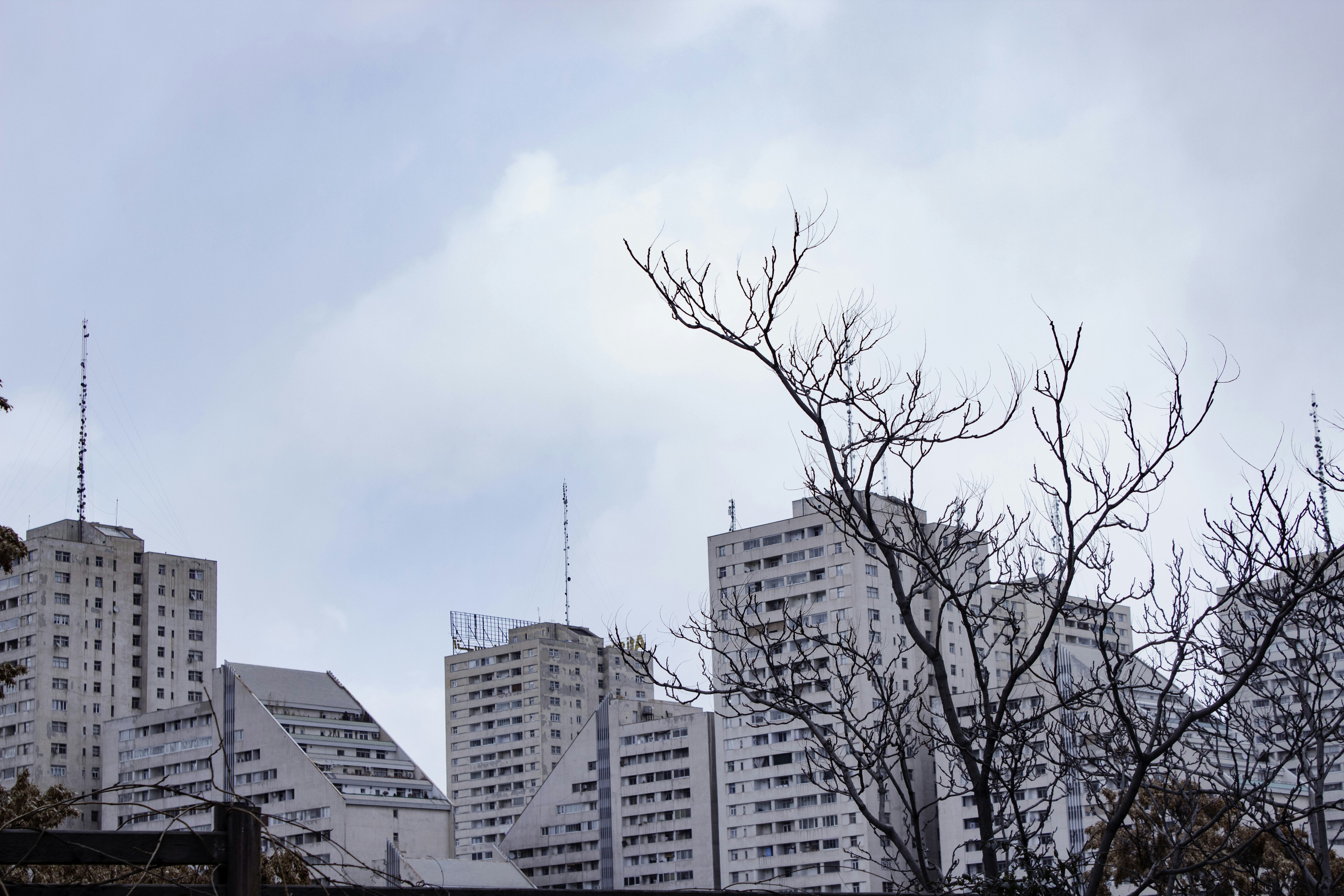 Photo by Elham Abdi with Canon EOS 600D