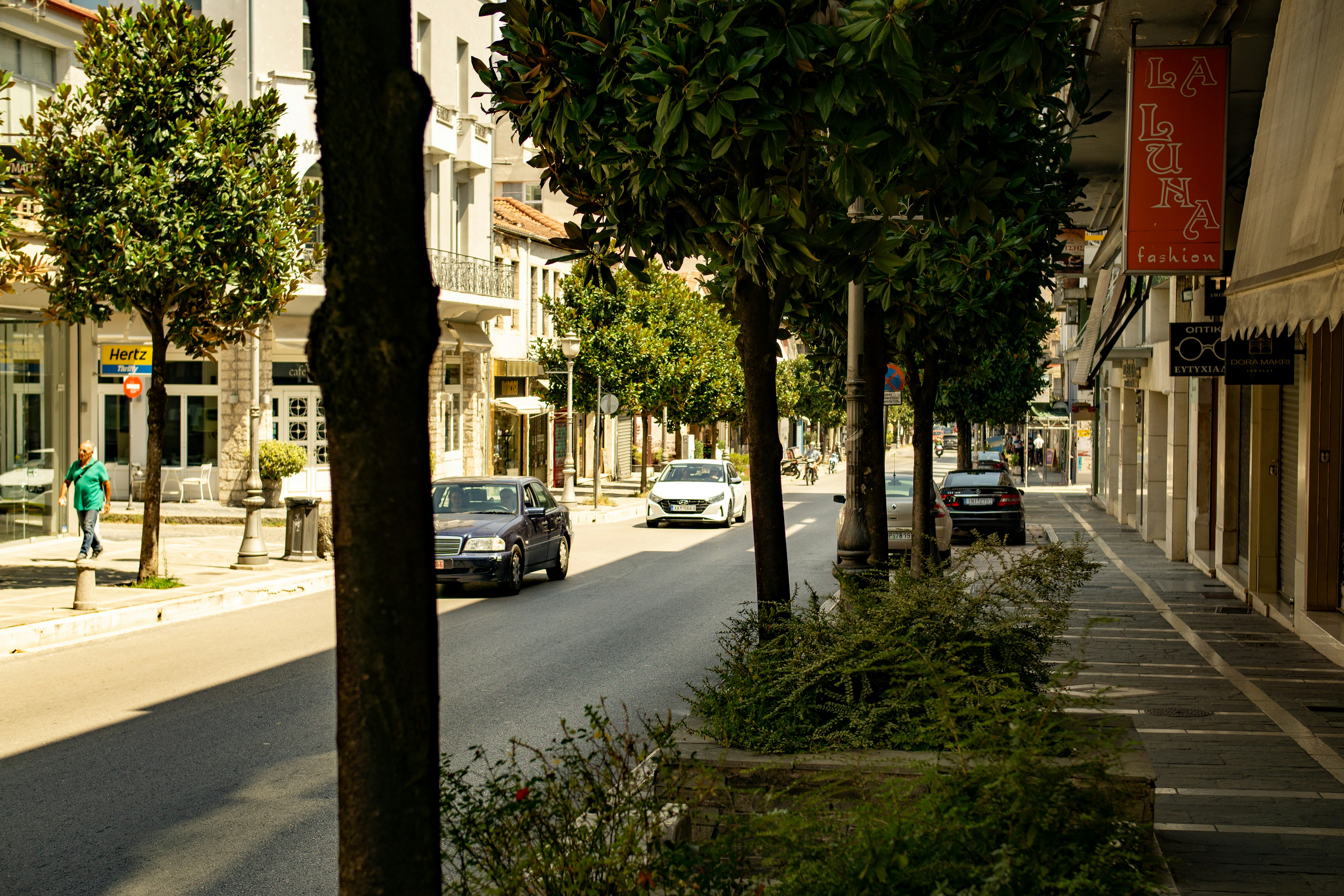 Une rue de la ville bordée de grands immeubles et d’arbres photo ...