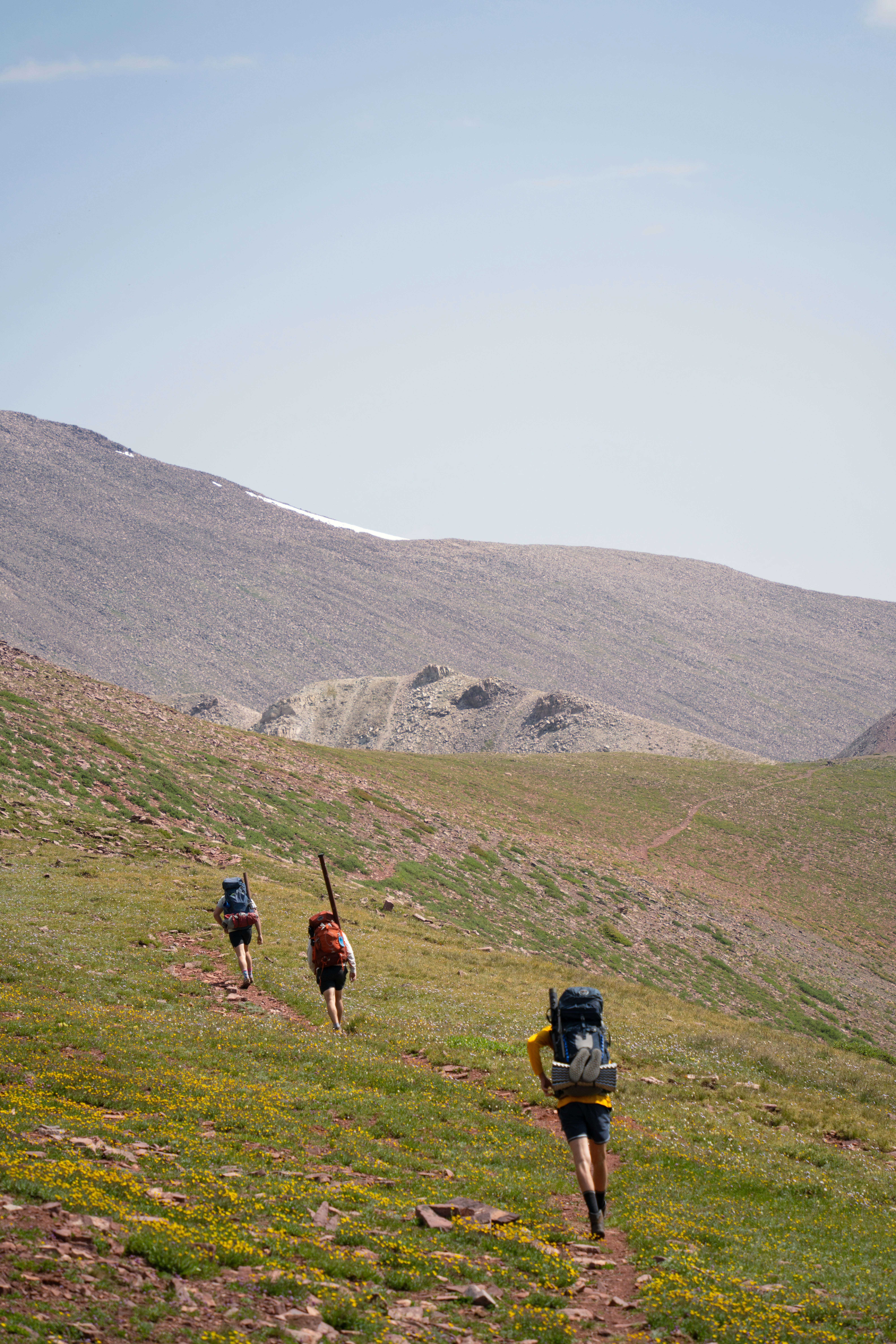 Three hikers ascend a vibrant mountain trail, flanked by colorful wildflowers and rugged terrain under a clear sky.