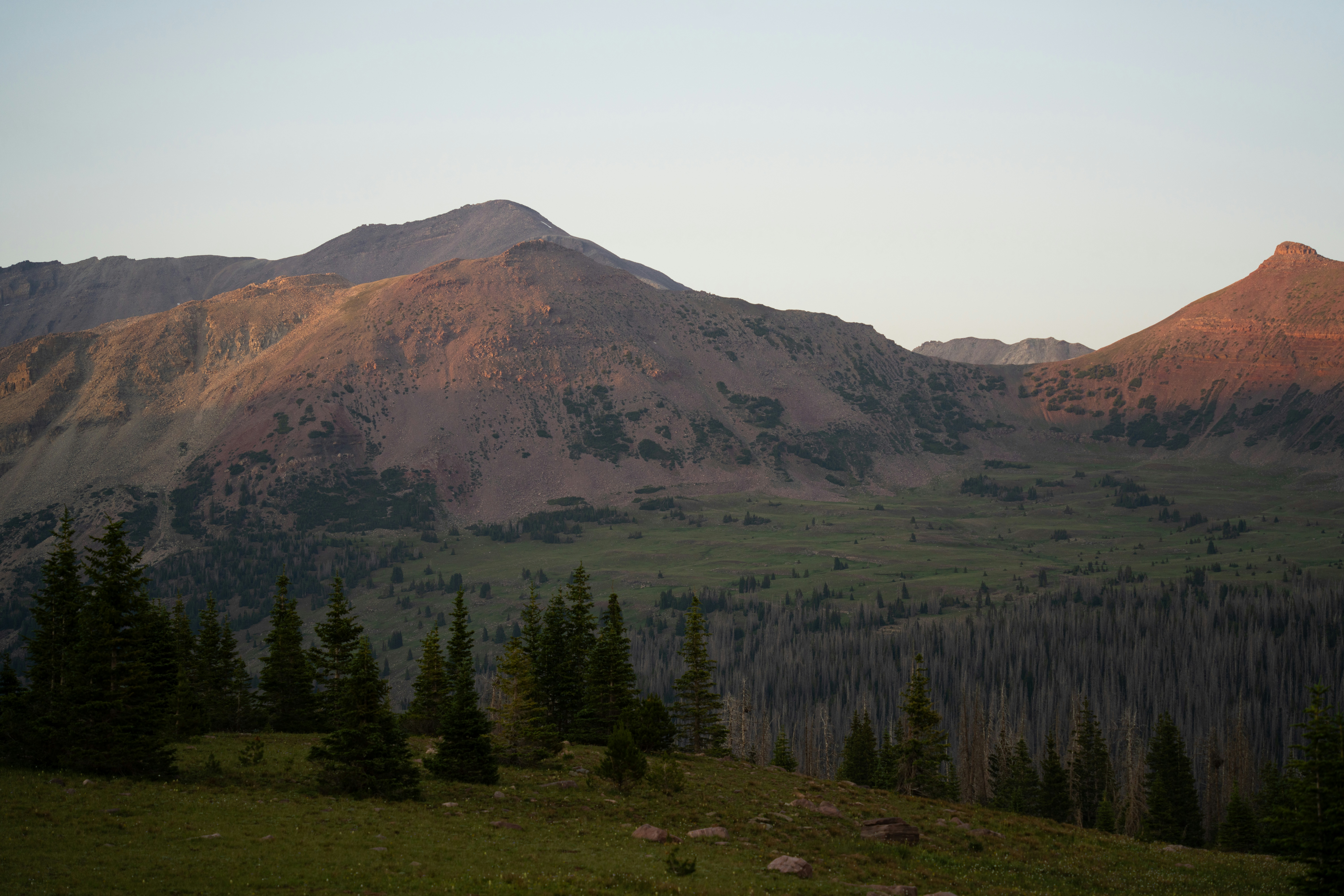 Dusk Crest: Warm Ridge over a Pine-Fringed Valley
