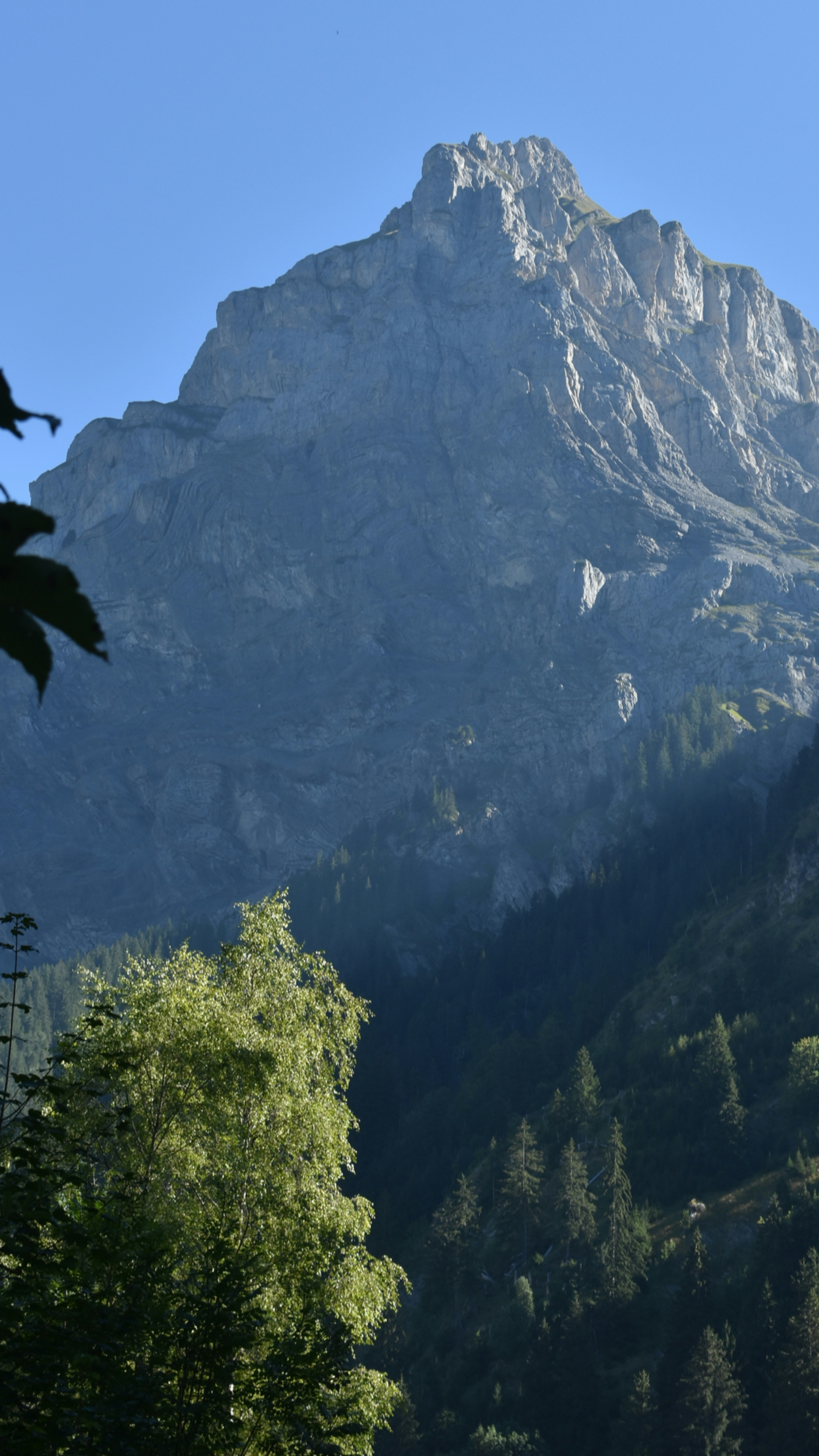 Nanda Gopal Lakshman (@nandaphotos) | Komunitas Foto Unsplash