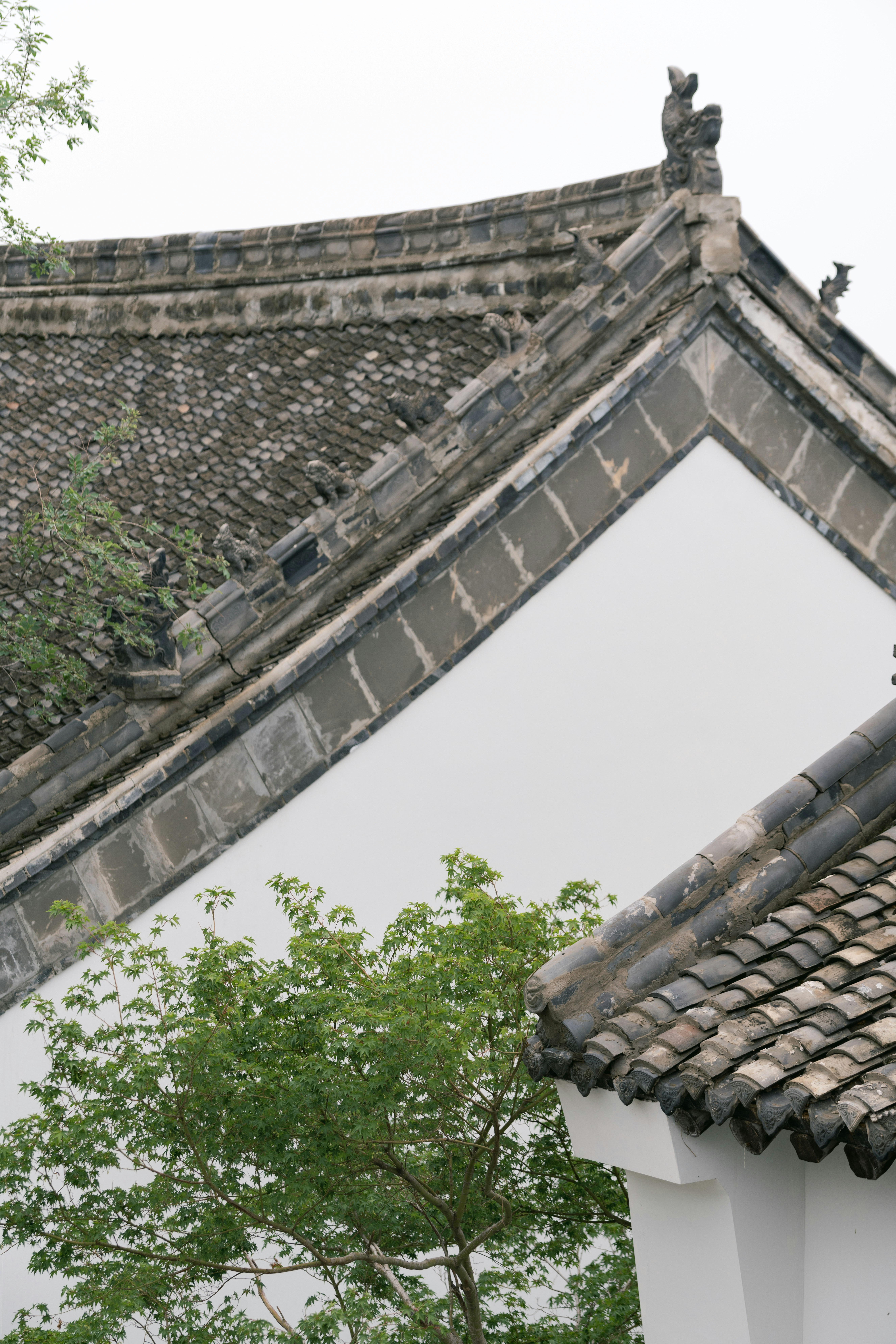 A tall building with a tree in front of it photo – Free Building Image ...