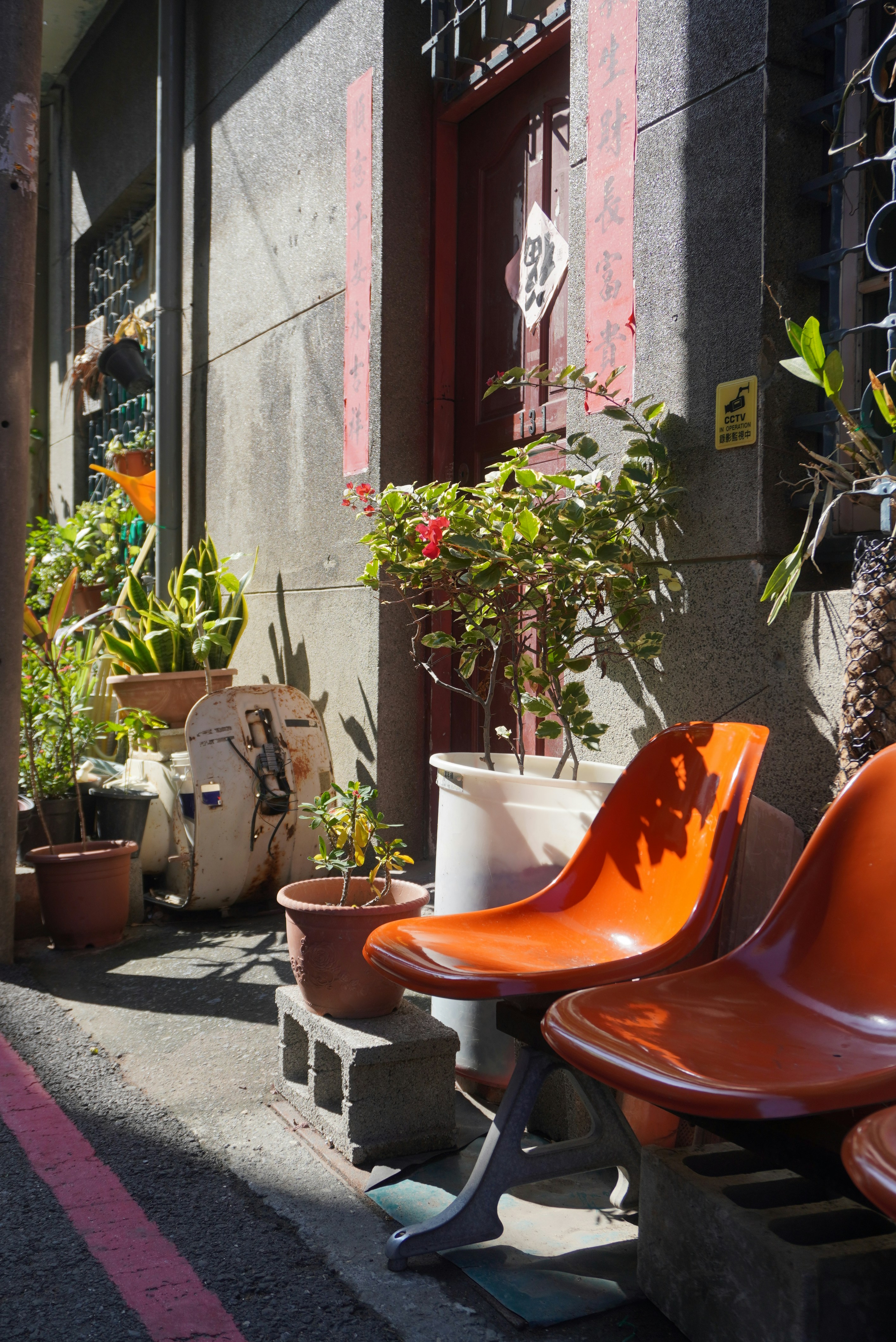 Vibrant orange chairs sit beside lush greenery and a rustic door, showcasing a unique blend of urban life and nature. The scene captures the essence of a lively neighborhood.