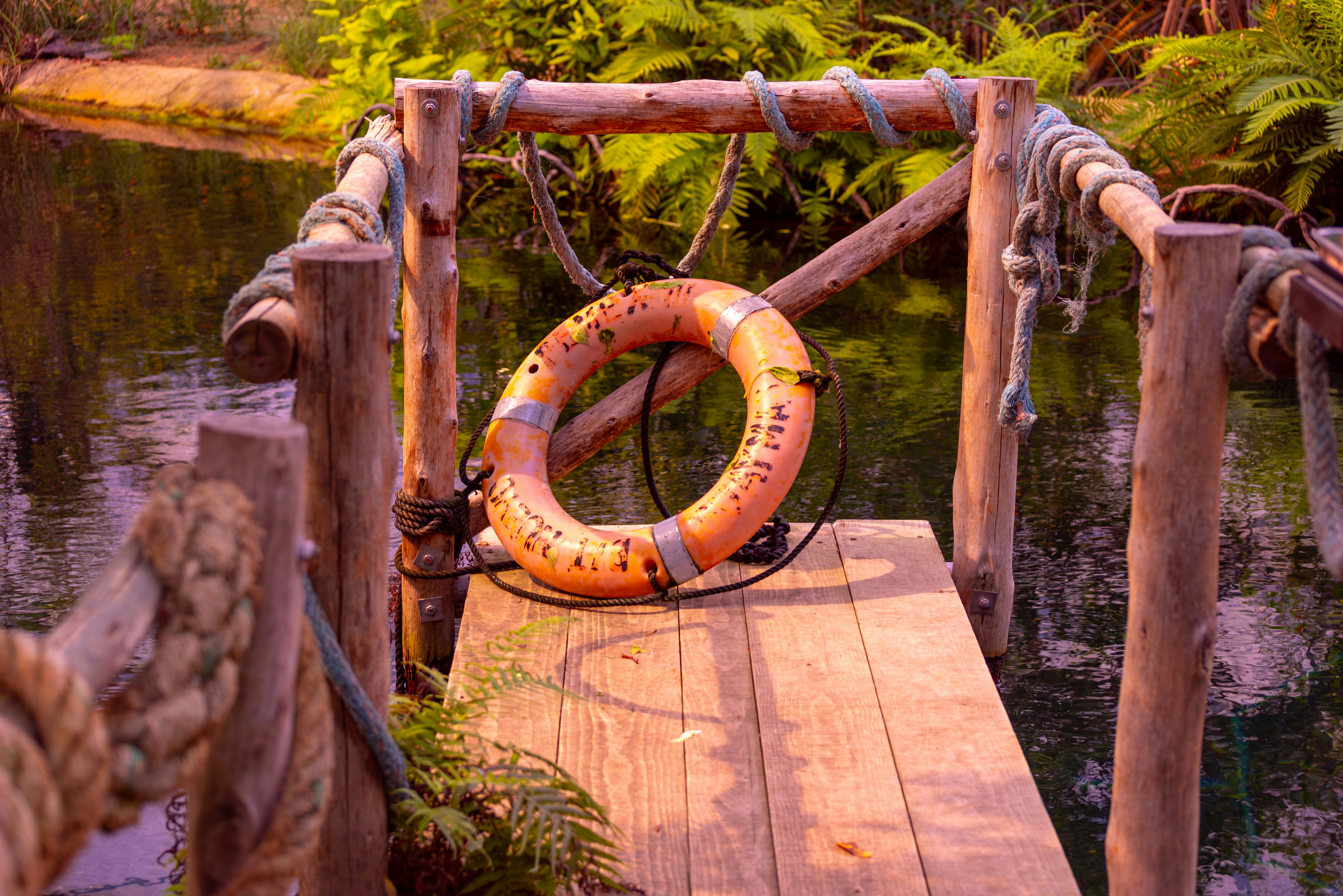 A wooden dock with a life preserver on it photo – Free Water Image on ...