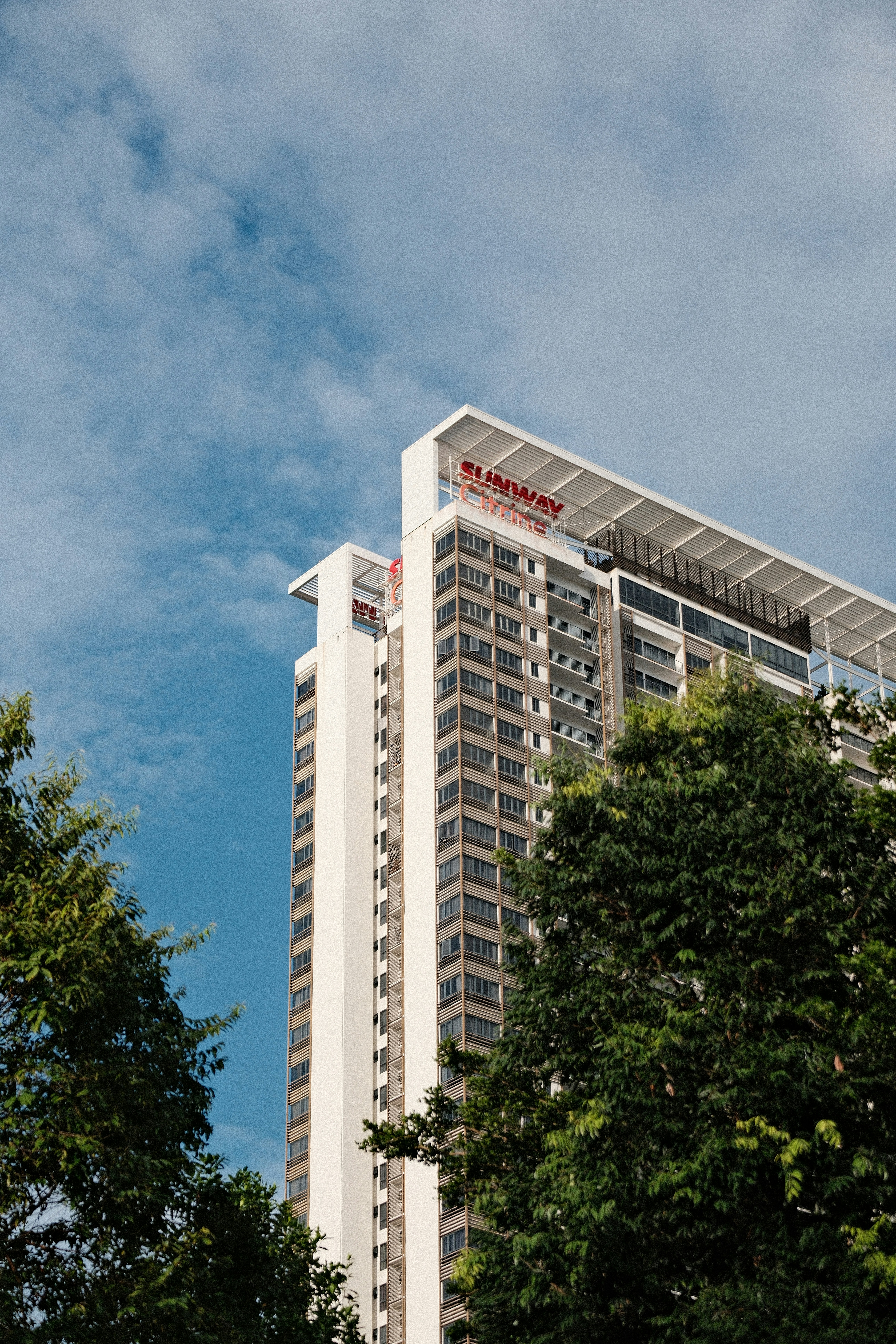 Skyward Glass and Concrete: A Skyline of Modern Resolve
