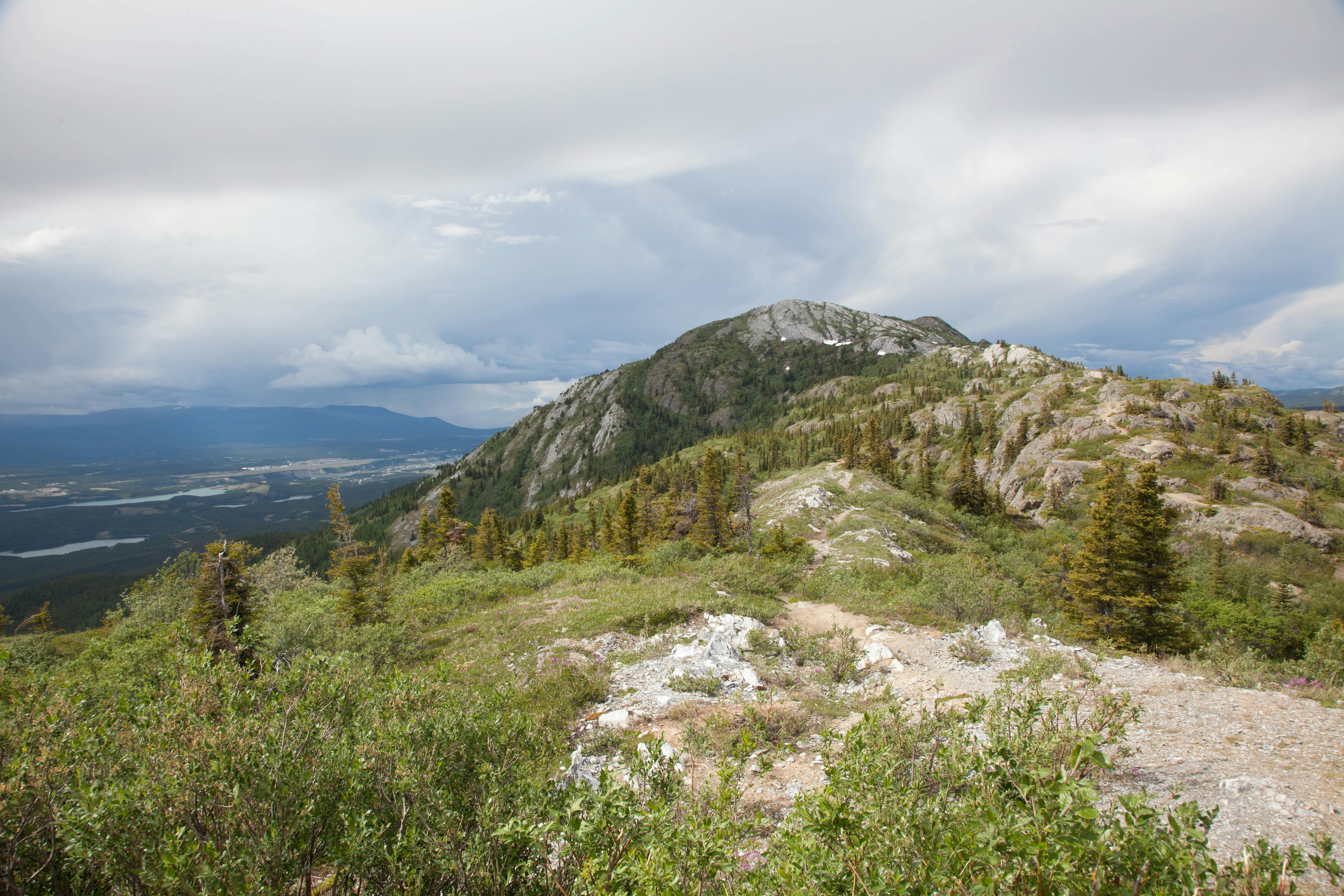 Verdant Pathways: A Journey through Mountain Trails