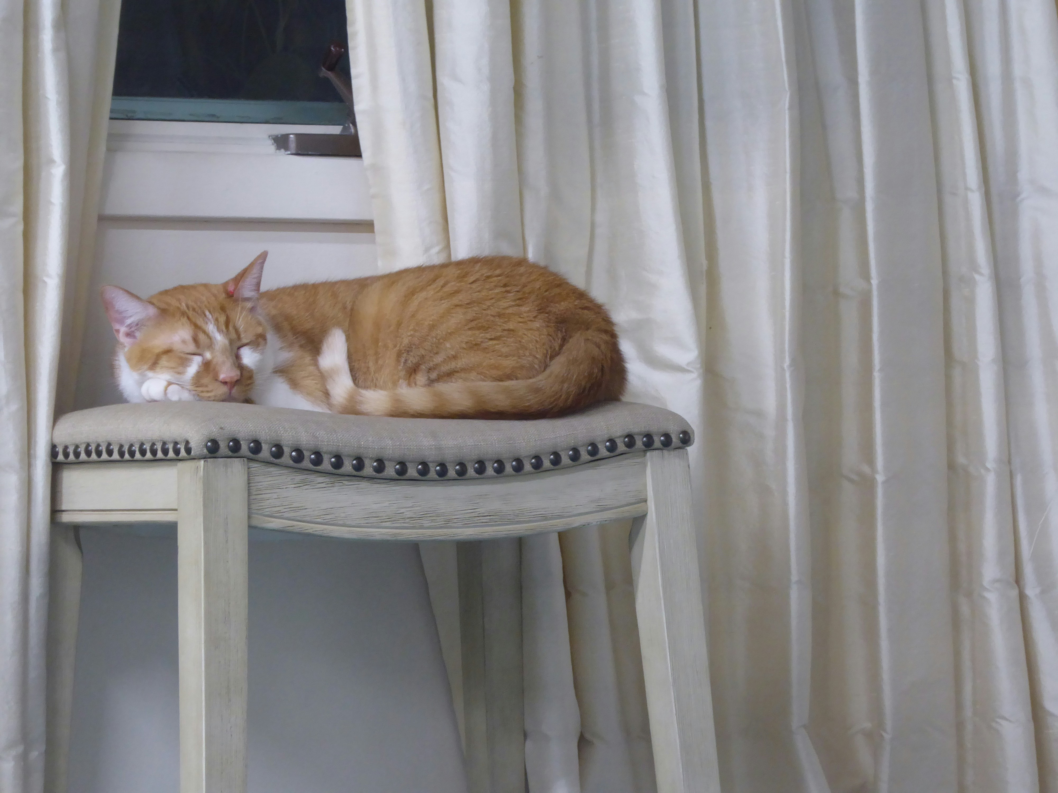 Sunlit nap: an orange cat lounges on a cushioned stool by the window