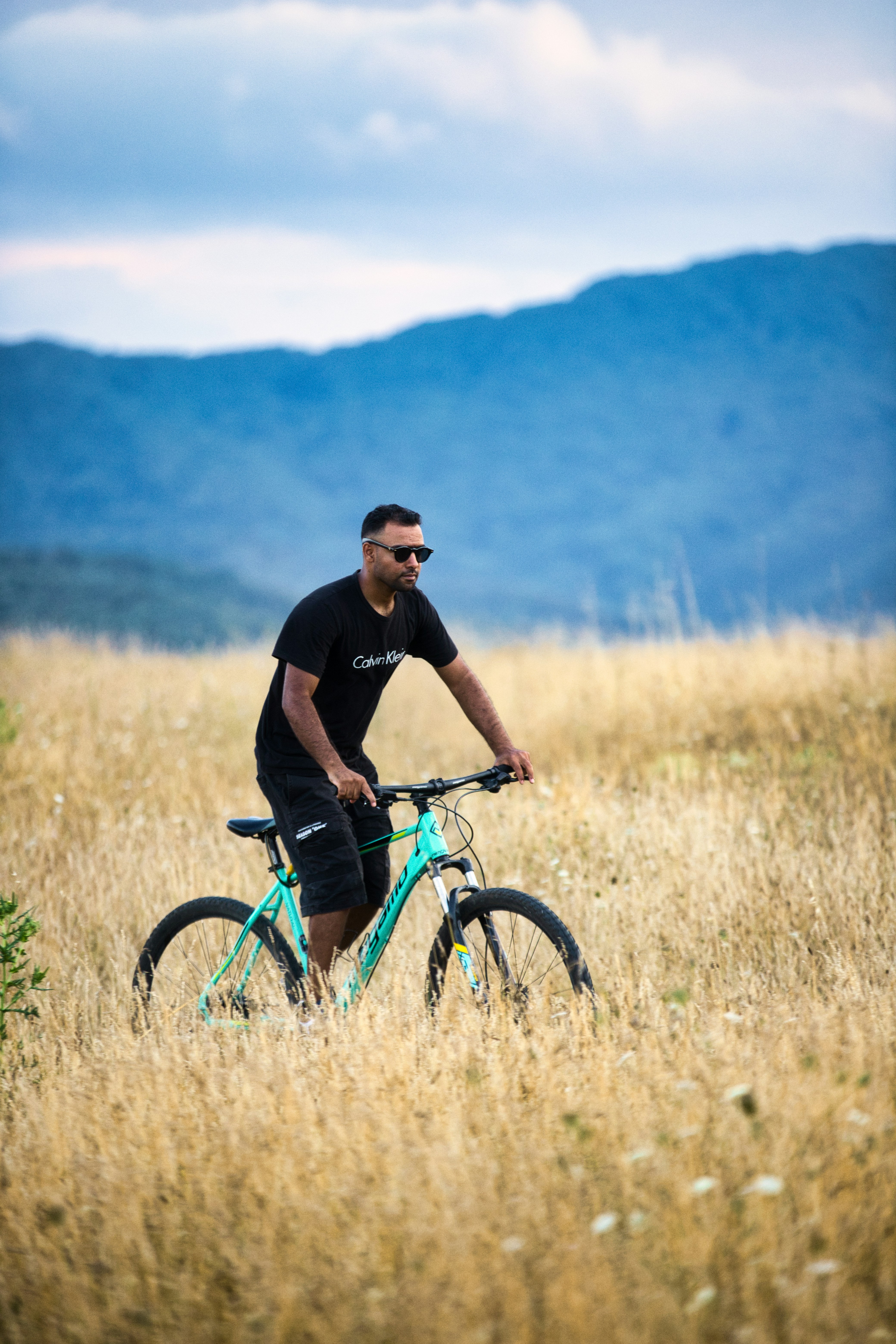 Turquoise Trek: A lone rider threads through sunlit grasses toward distant blue mountains.