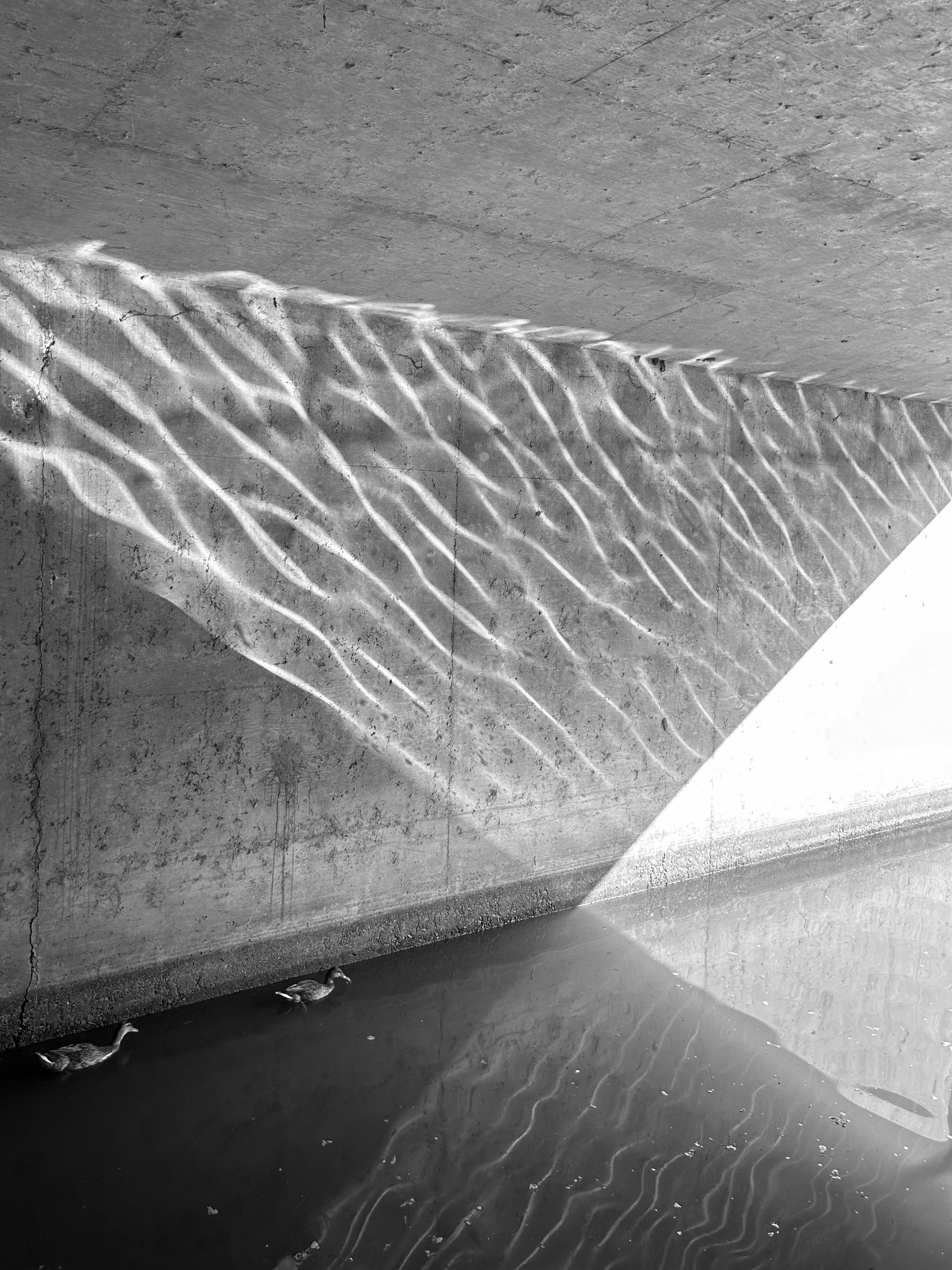 Monochrome Ripple Echoes on a Concrete Channel