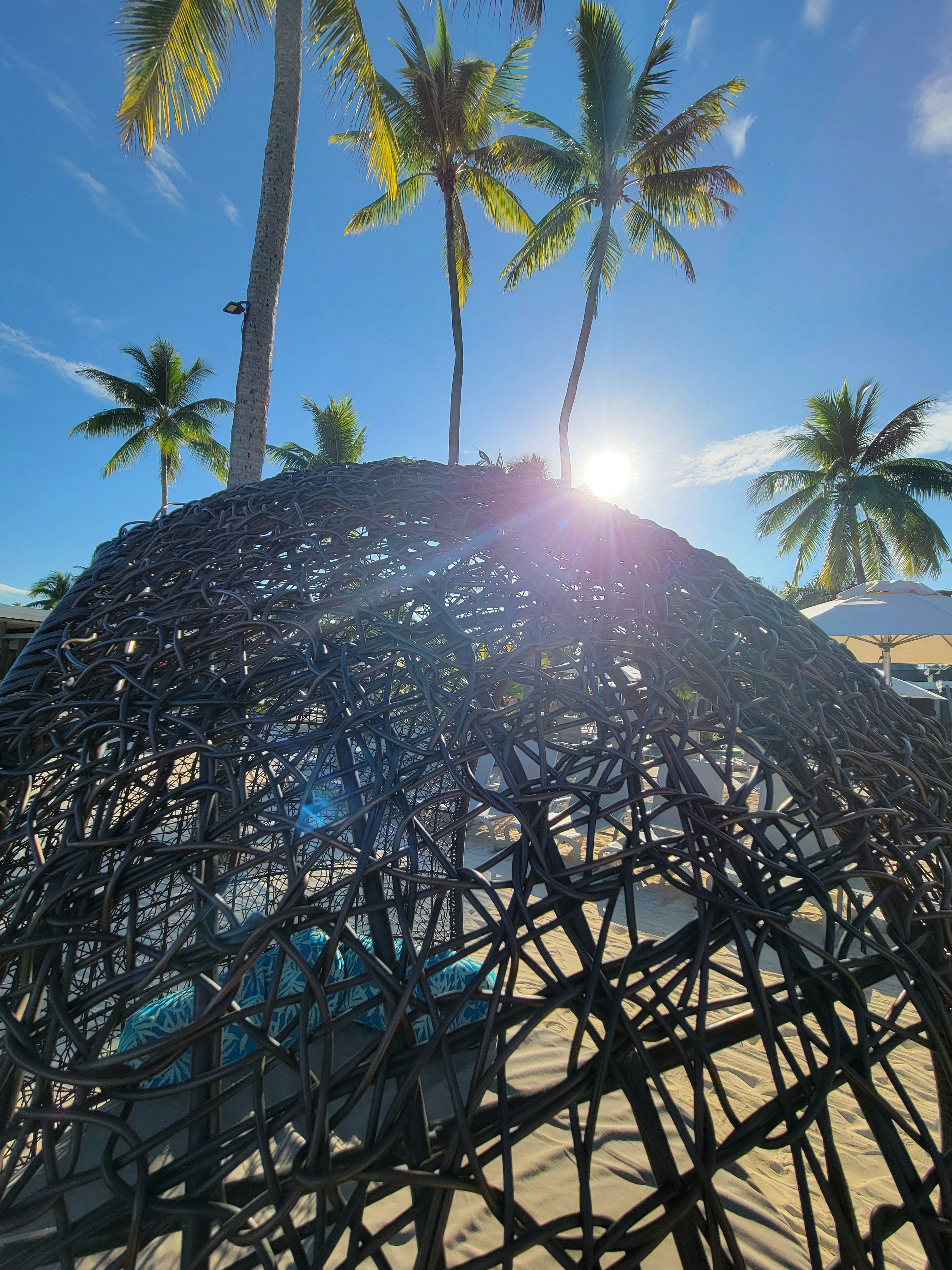 Sunburst Over a Tangled Dome: Palm-Framed Beach Sculpture