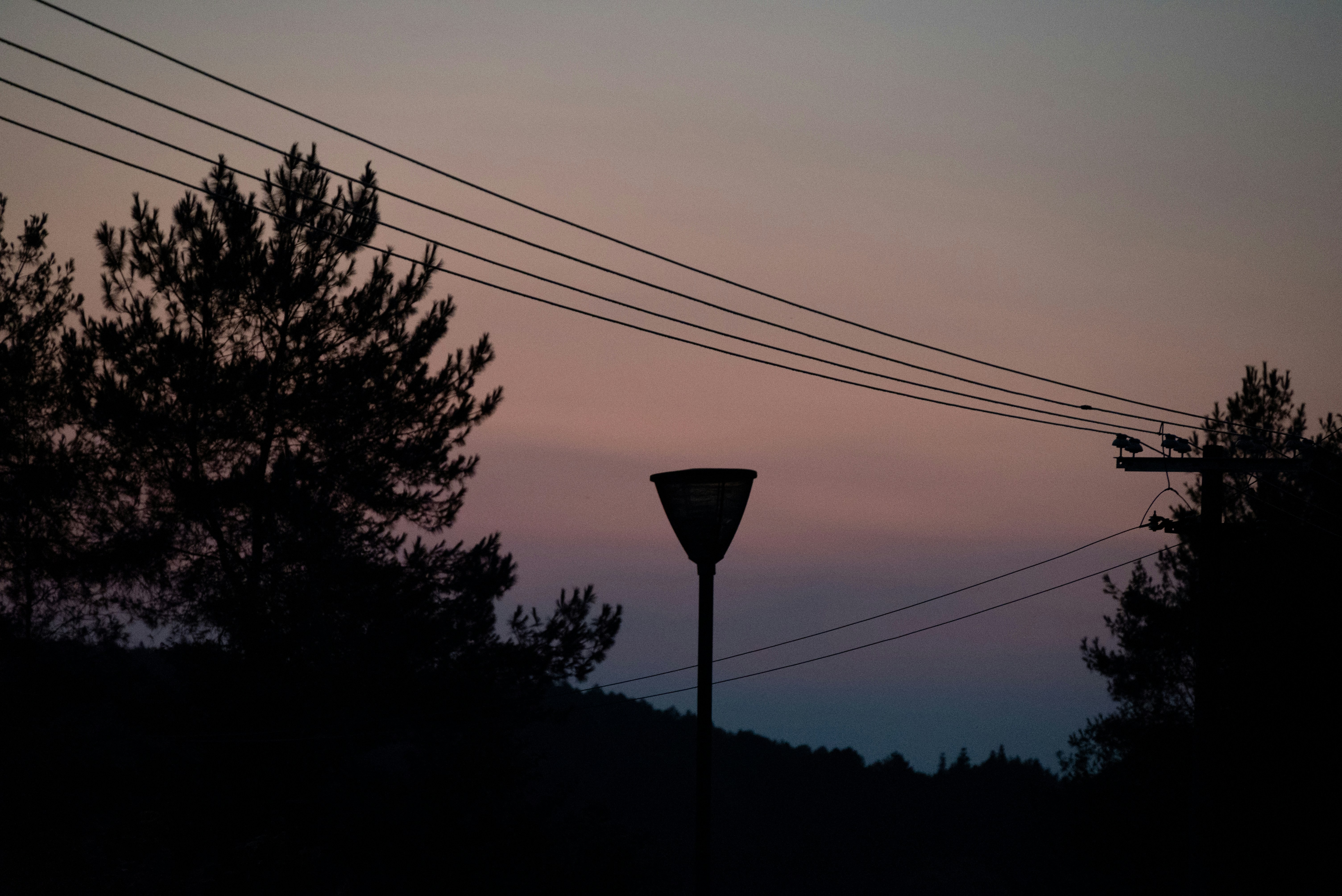 Dusk Lamp Post: Quiet Geometry Between Trees and Wires