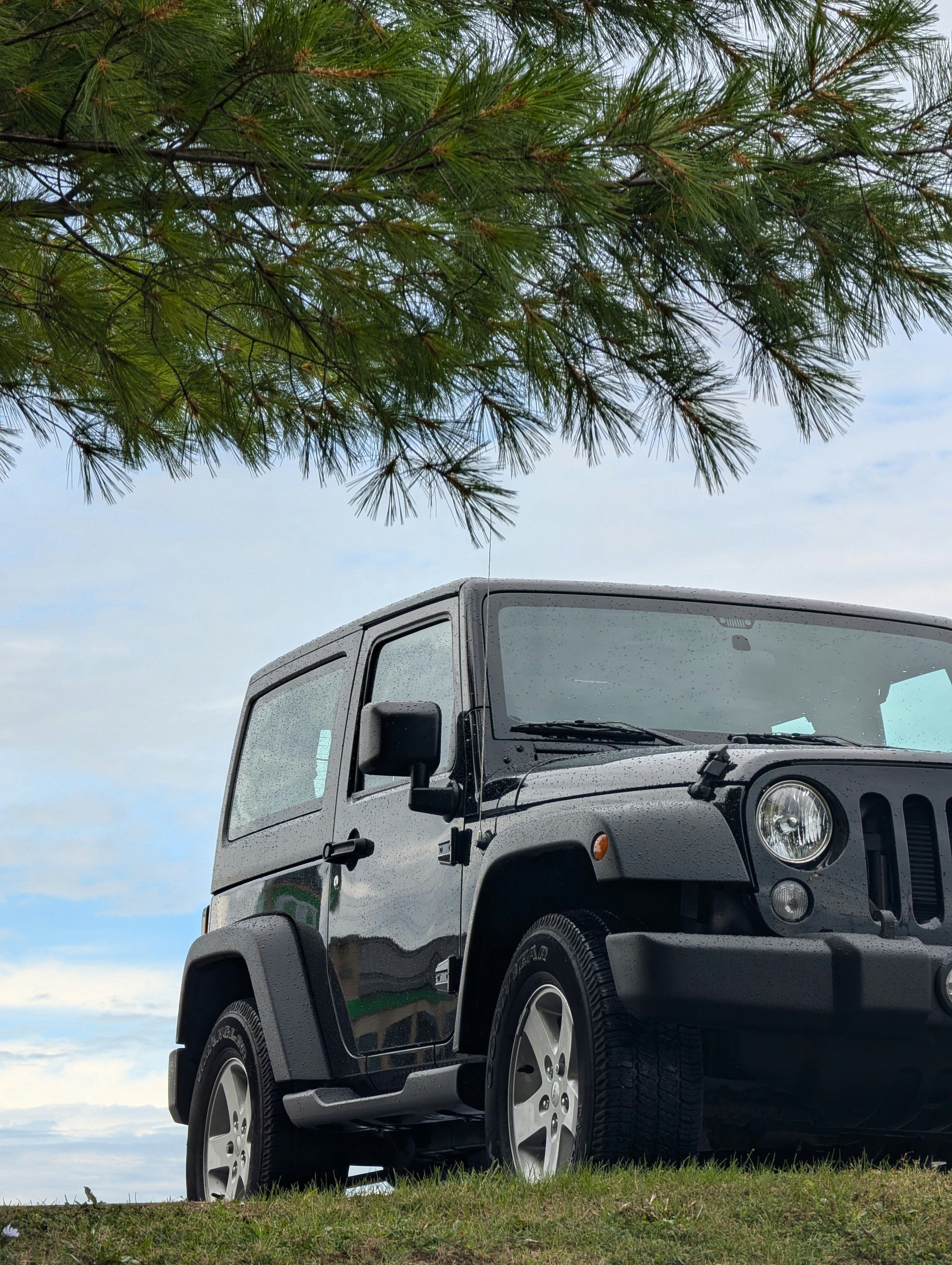 A black jeep is parked under a tree photo – Free The home depot Image ...