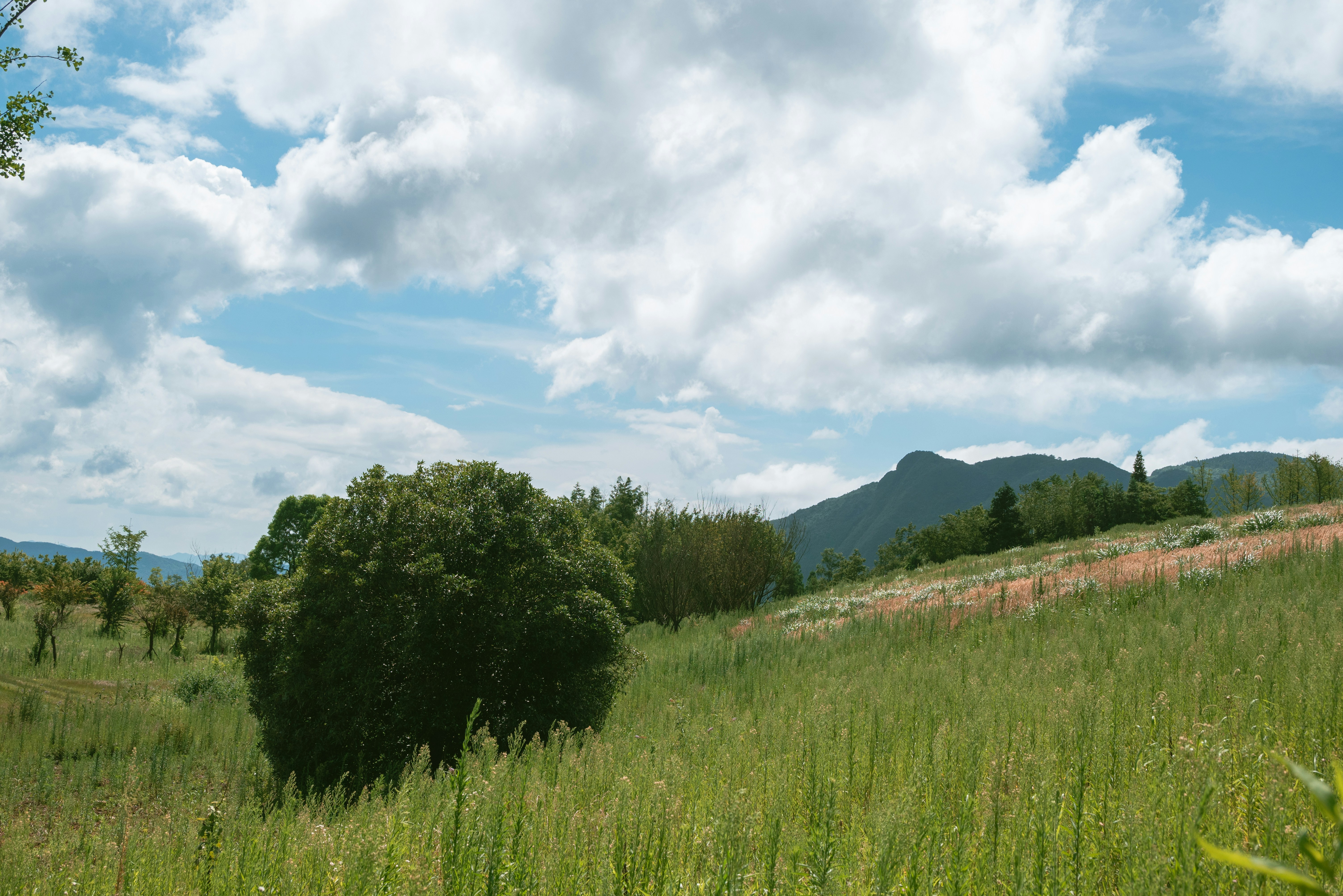 Photo by ran liwen with Nikon Z5