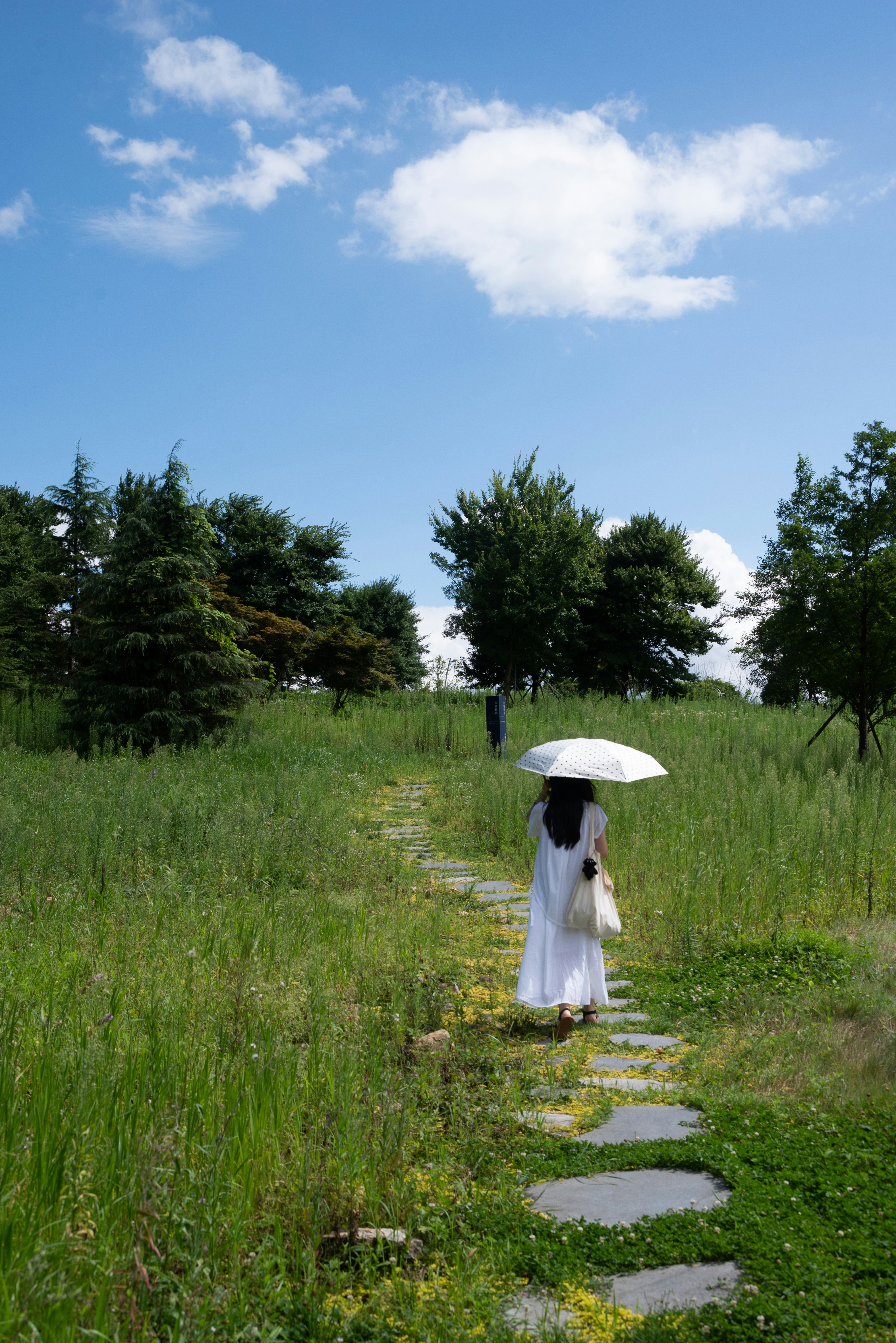 A woman with an umbrella walks down a path photo – Free Wulong Image on Unsplash