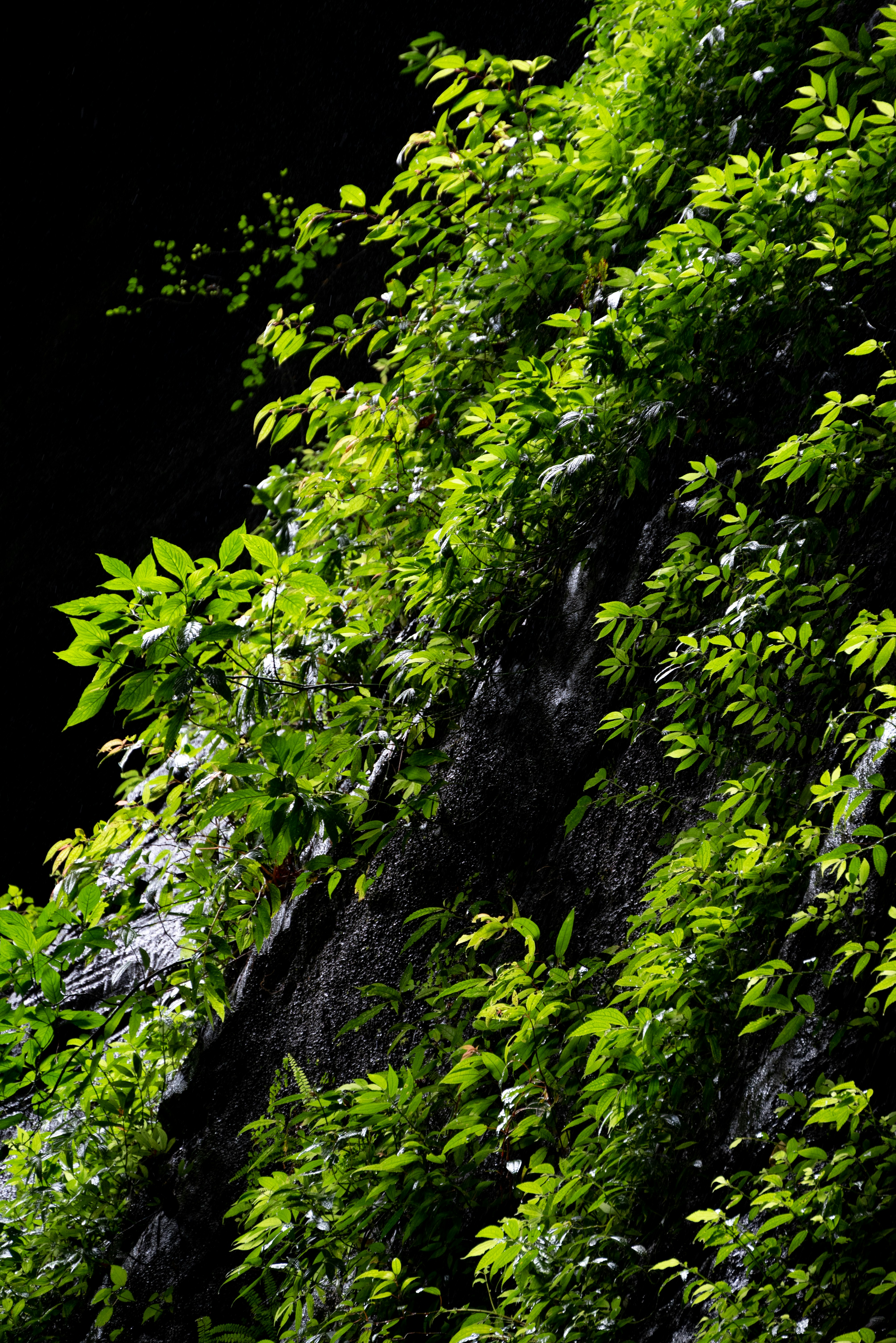 Photo by ran liwen with Nikon Z5