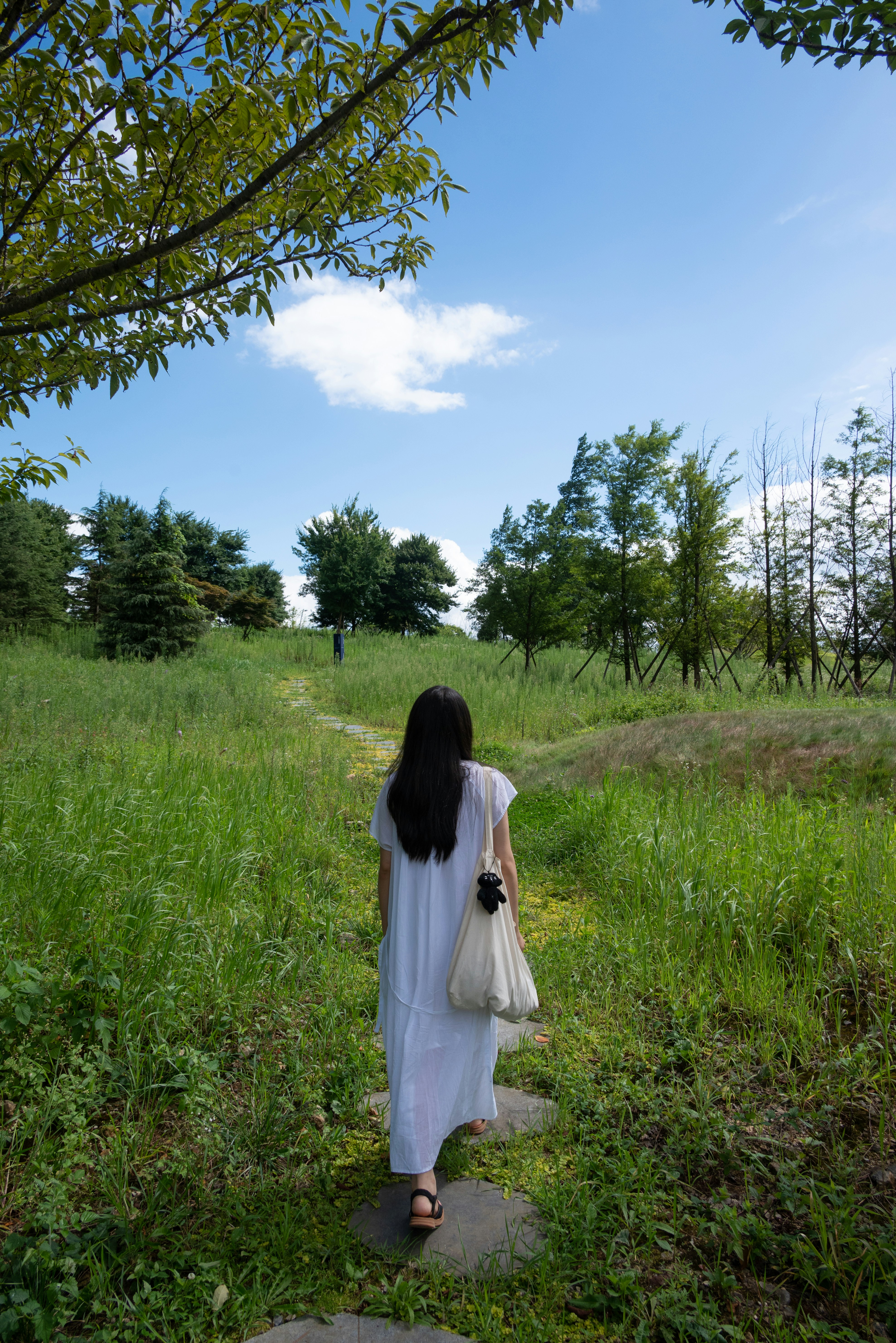 White-Dressed Wanderer on a Sunlit Meadow Path