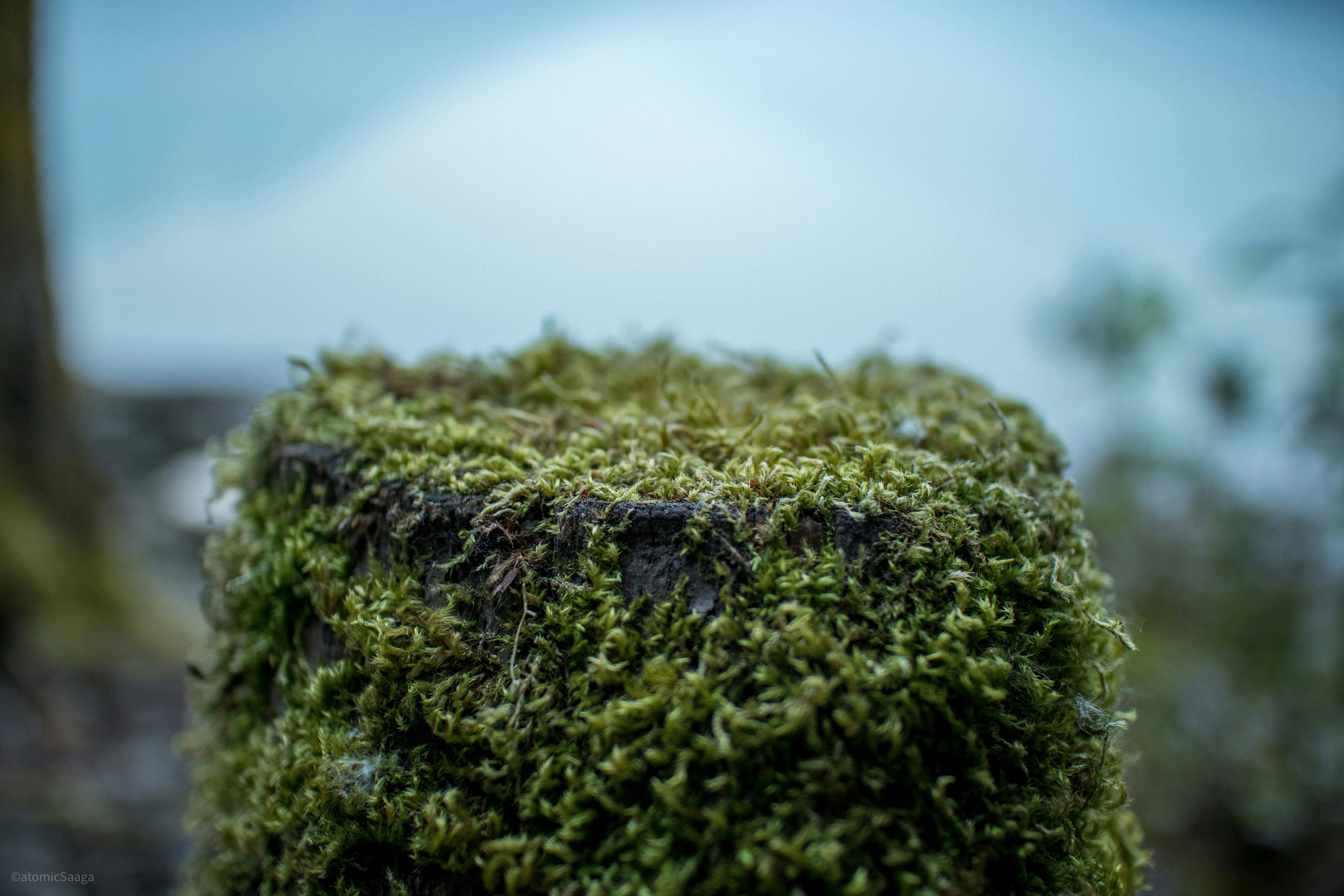 Photo by sagar patil with Canon EOS M50