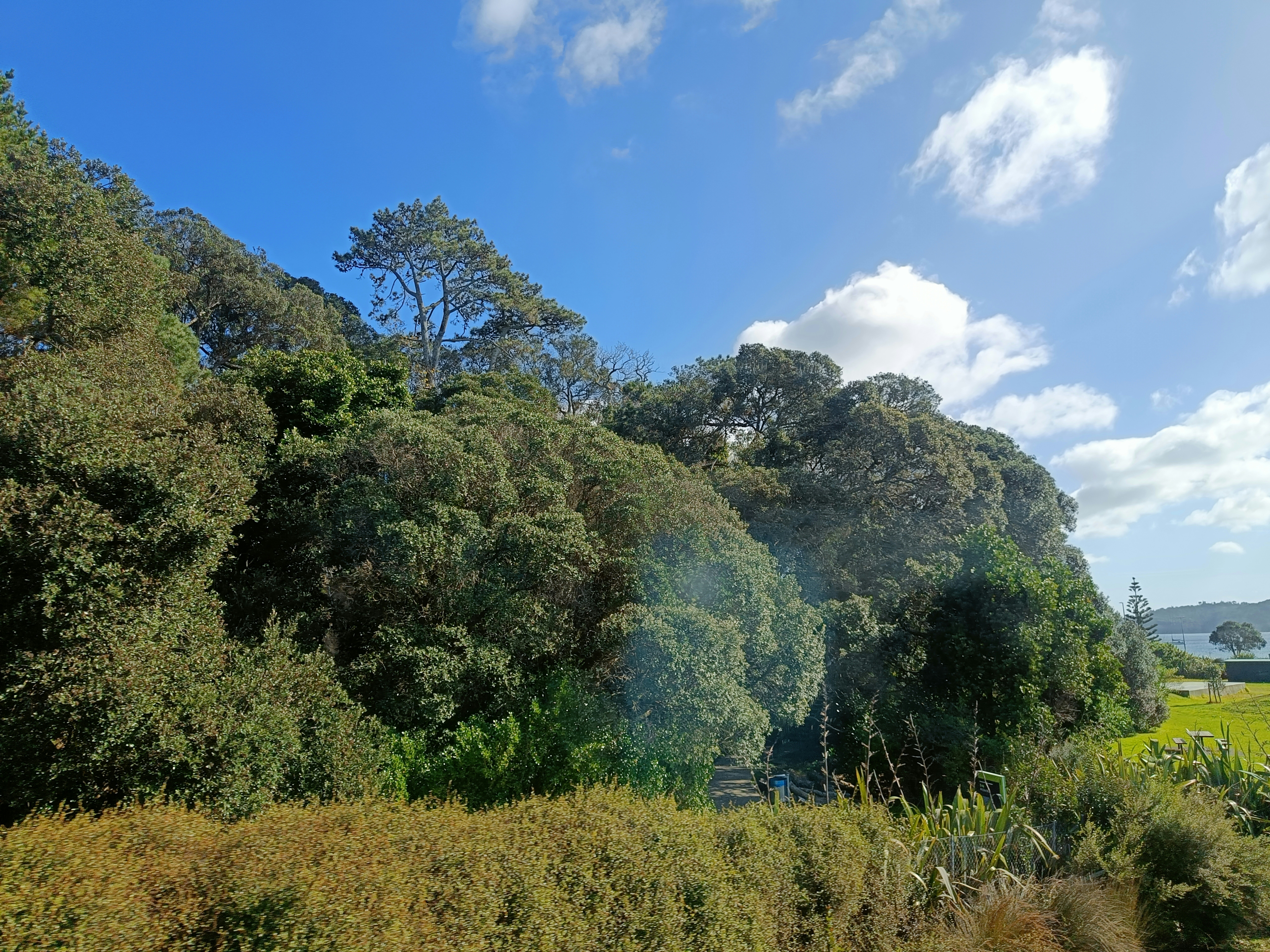 Photo by Jacob R Vamseedhar G with OnePlus Nord 2